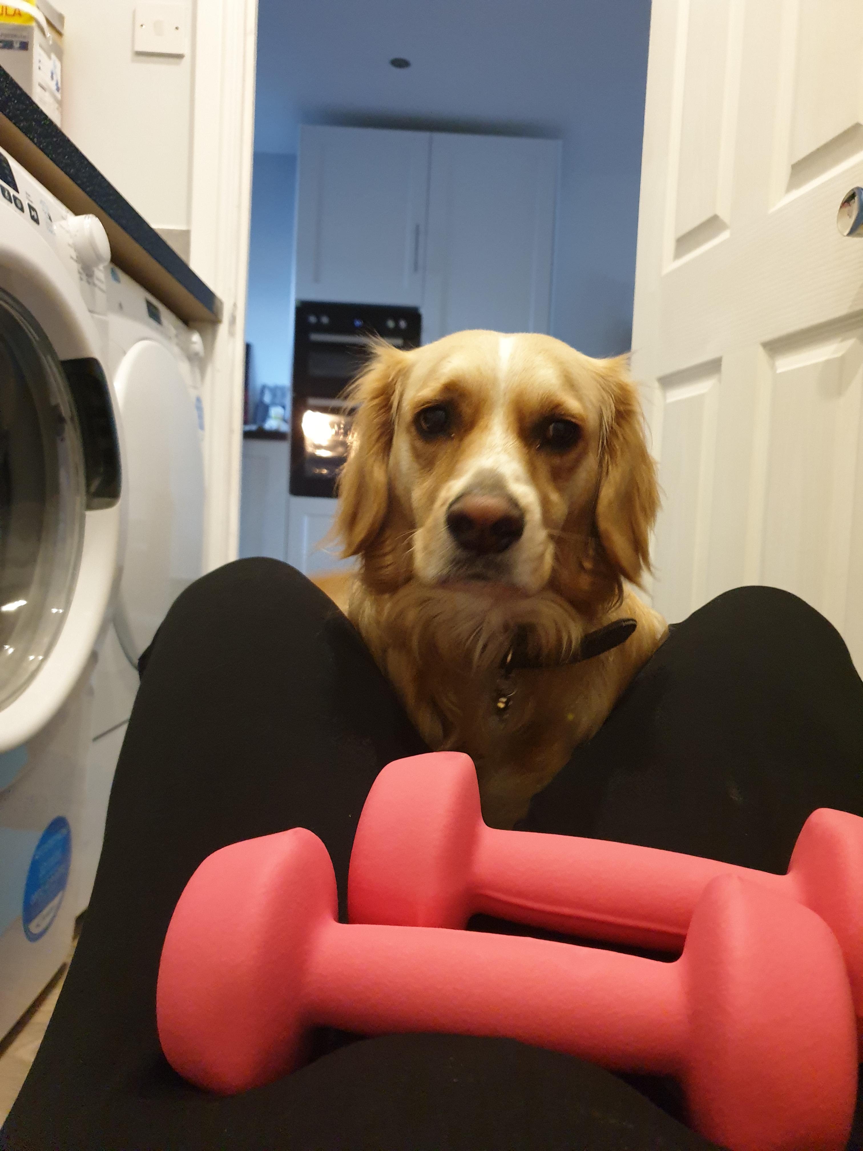 He thinks I have bones | Scrolller