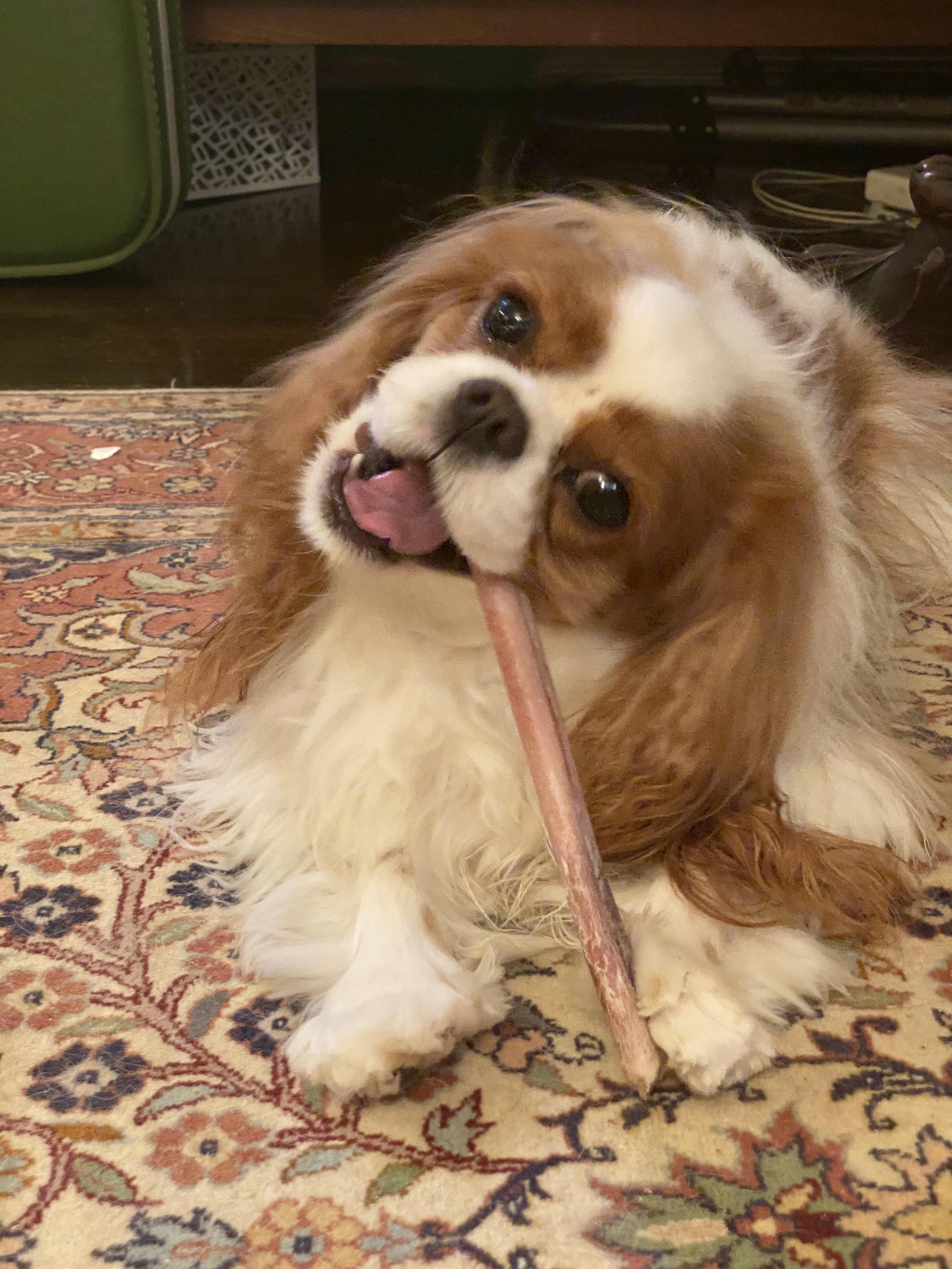 “He’yay! I gots me a chewie! Aww yeah!” | Scrolller