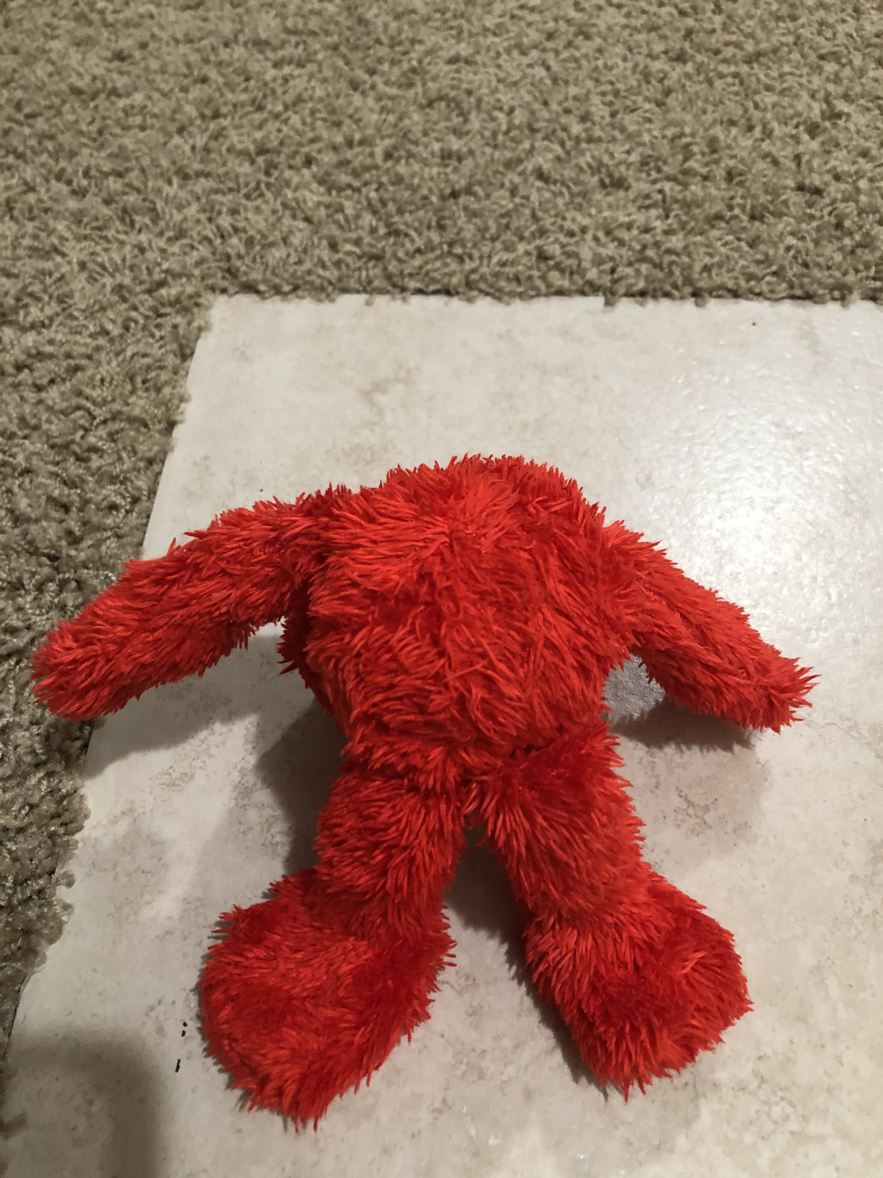 Headless Elmo | Scrolller