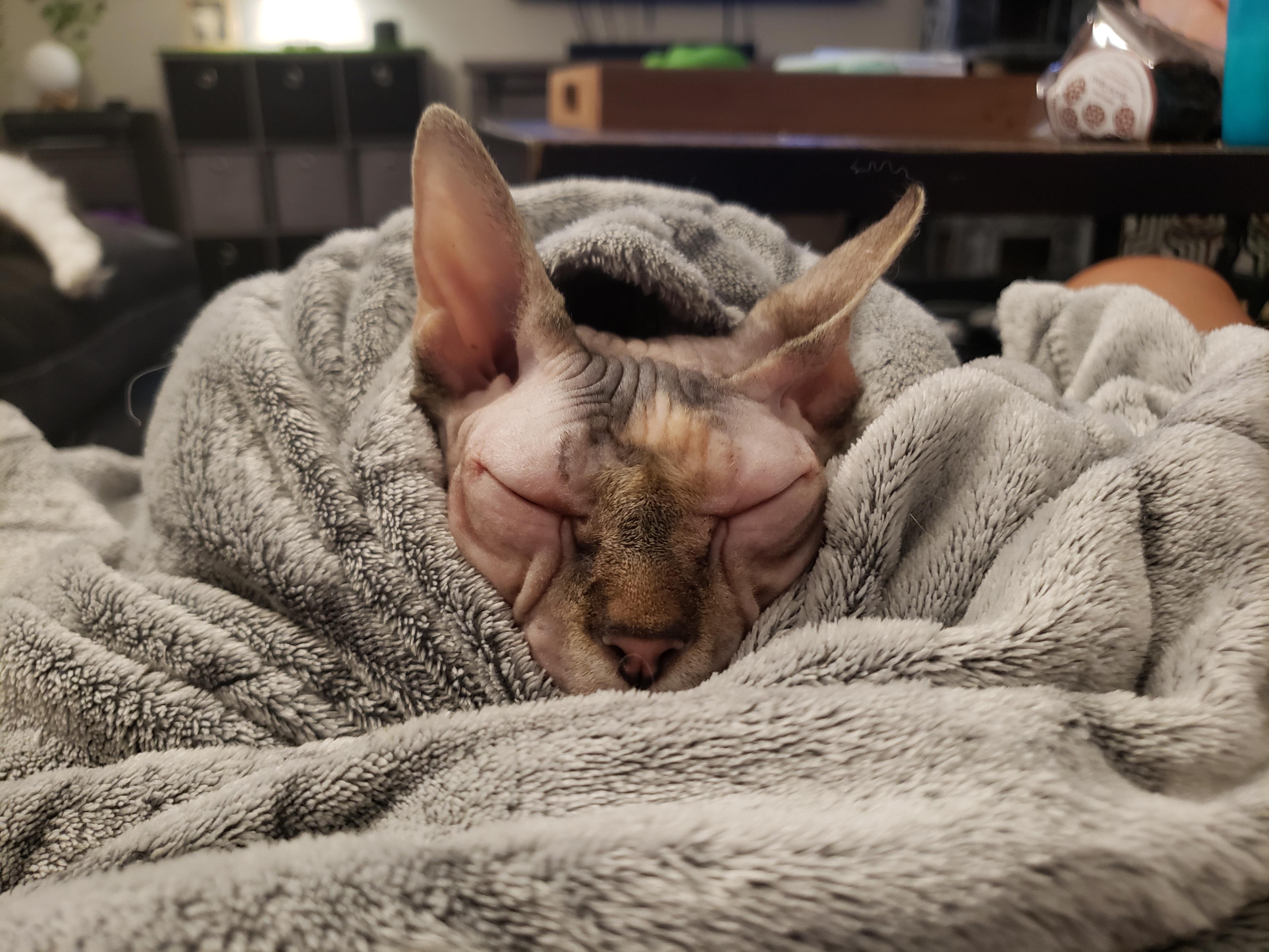 Heard y'all might like seeing the ultimate comfort going on here. | Scrolller