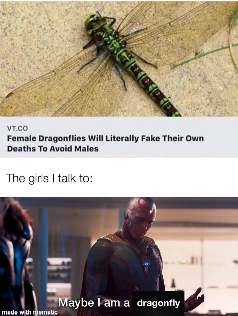 *heartbreak* | Scrolller