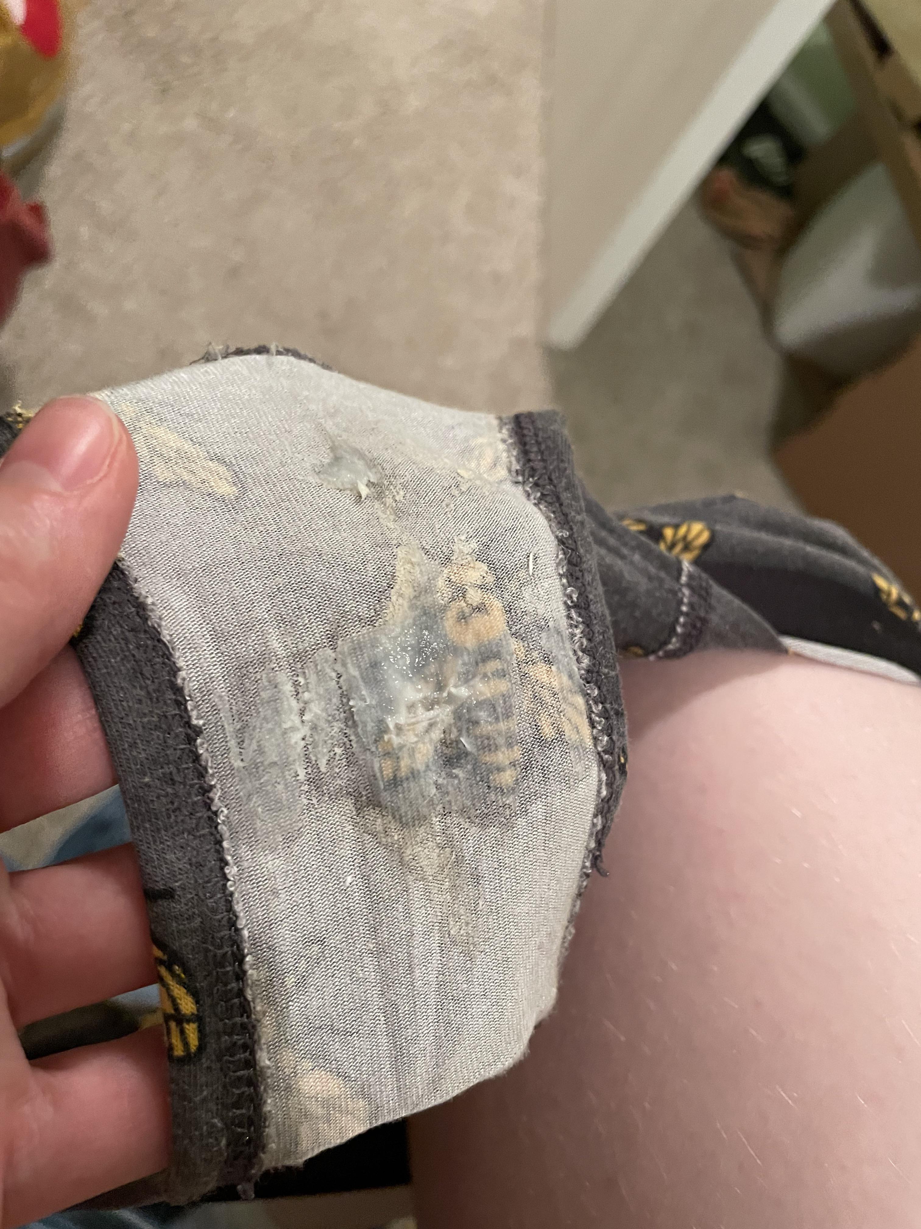 Hehe my panties have little bees on them🥰 | Scrolller