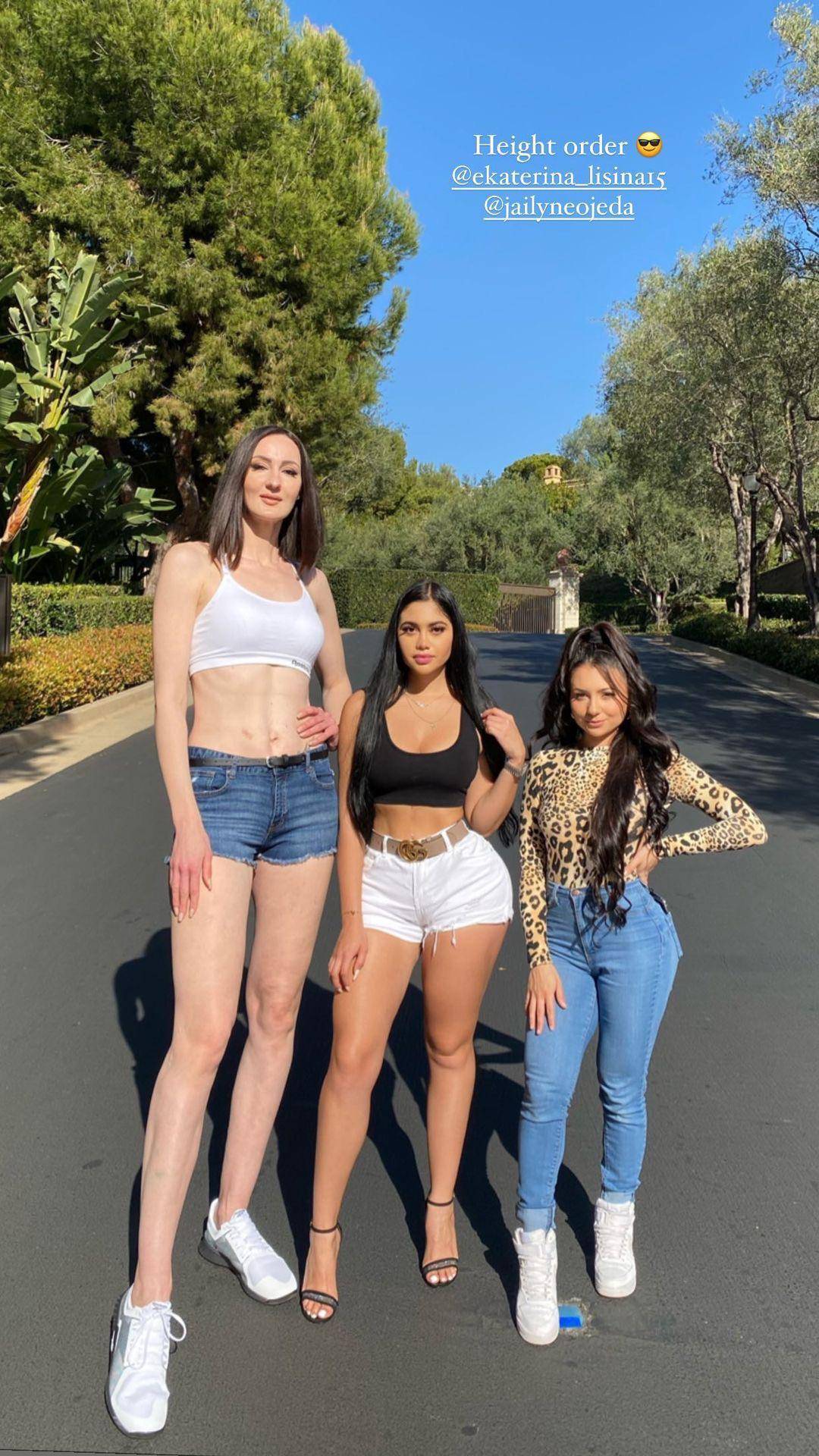 Height order | Scrolller