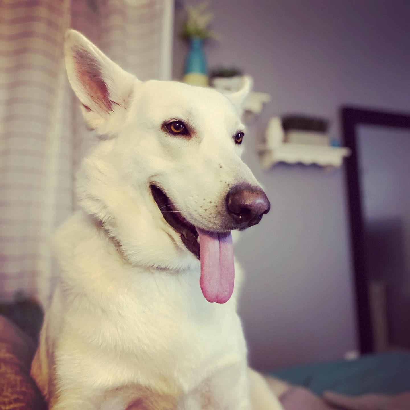 Hello everyone! I’m Walter! ️ | Scrolller