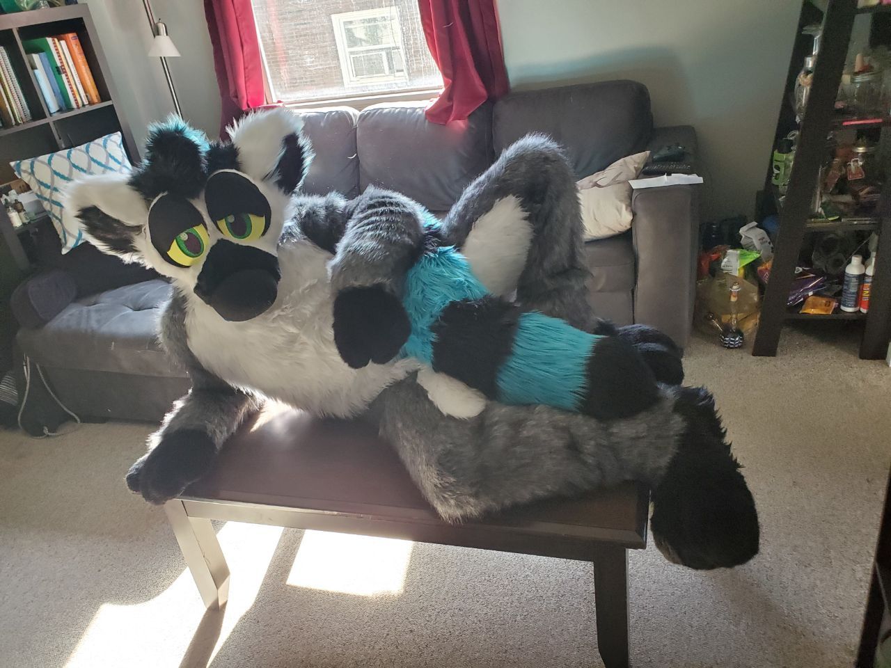 Fursuits | Pictures and Videos | Scrolller