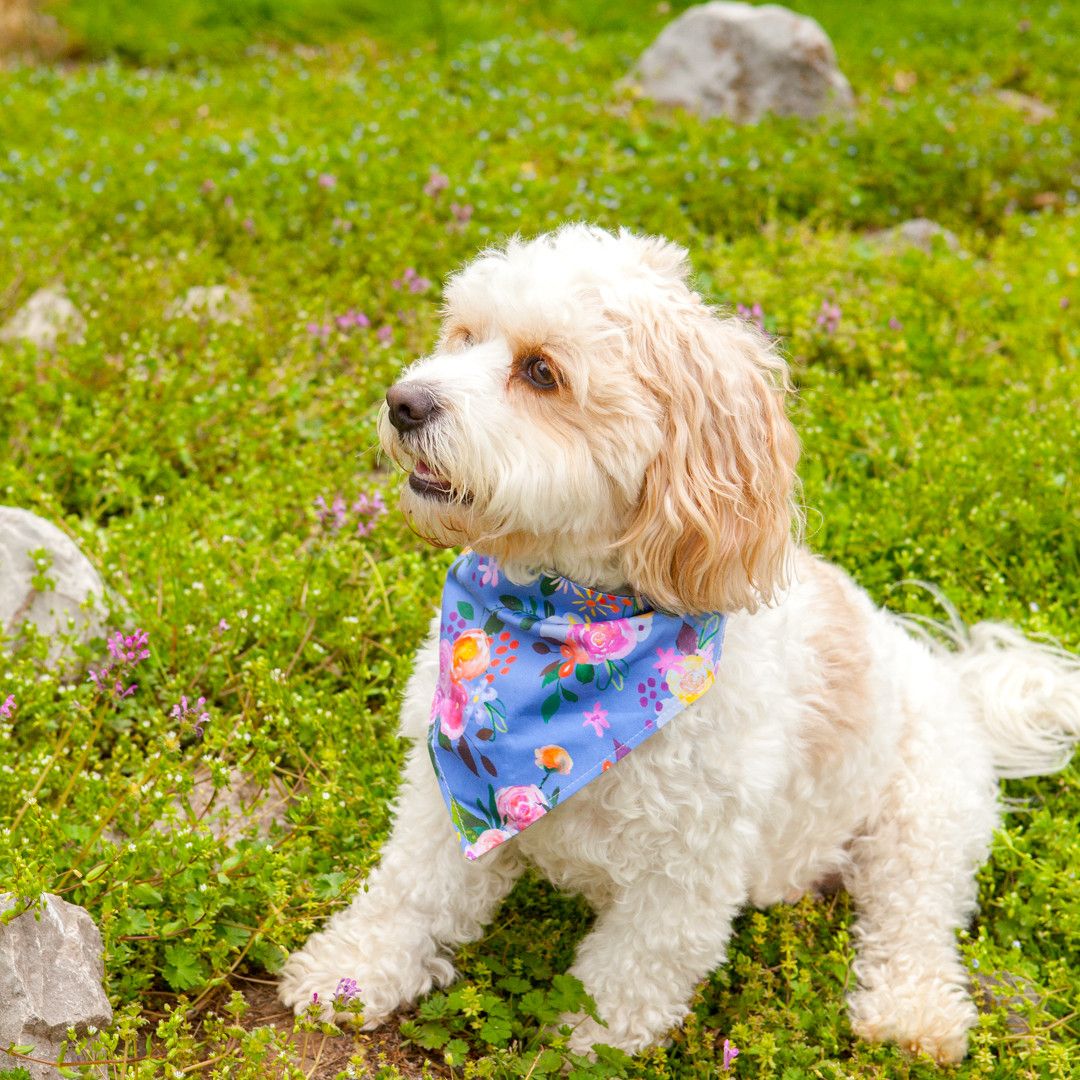 Hello weekend! | Scrolller