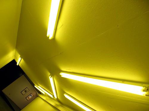 Help did I just enter the backrooms | Scrolller