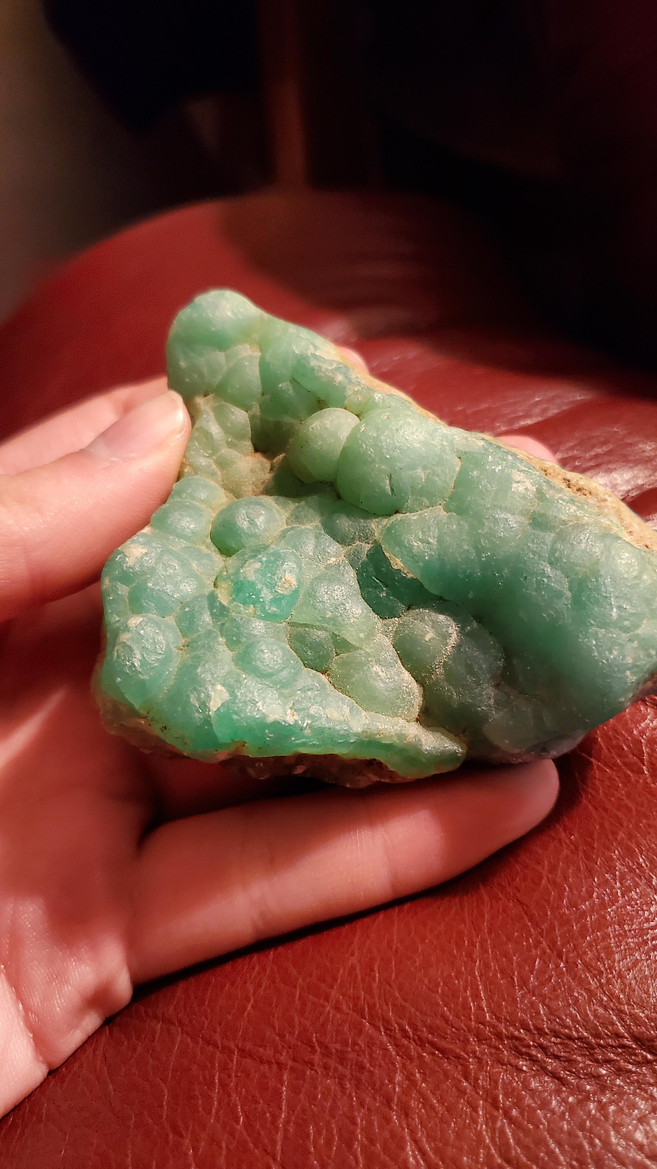 Help IDing! | Scrolller