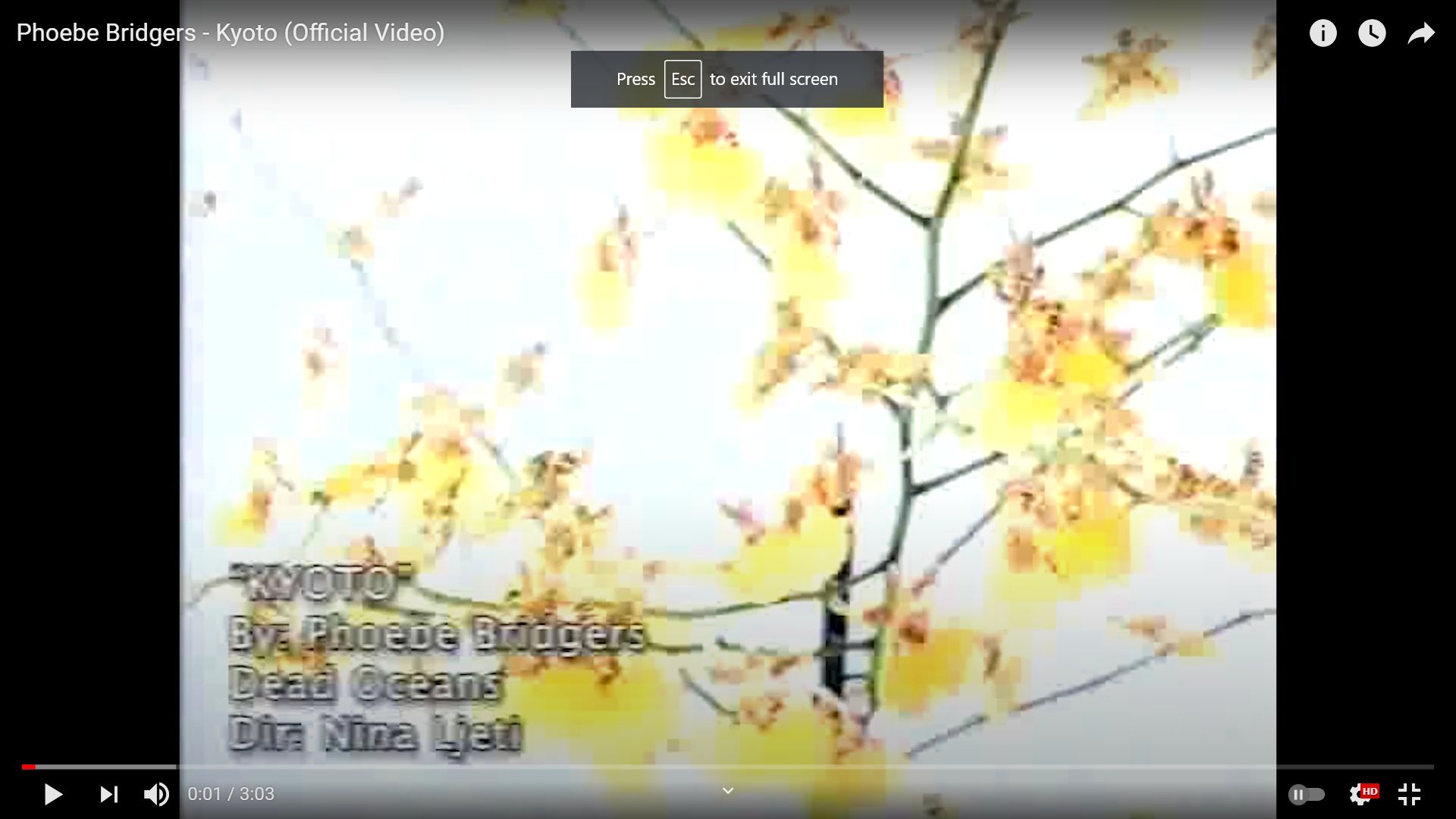 help me identify the font in the opening to Phoebe Bridgers' "Kyoto" Music Video. | Scrolller