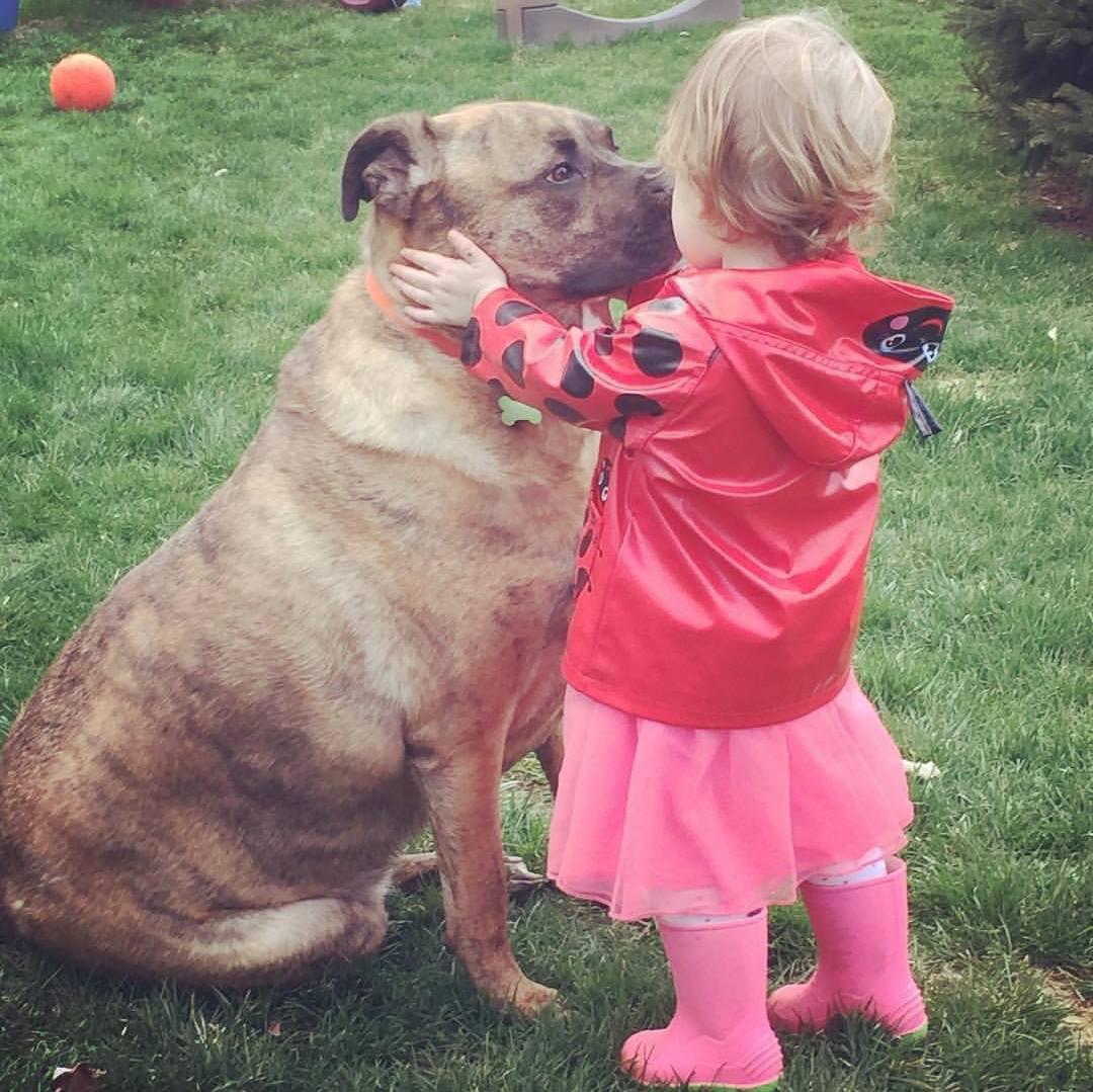 Her faithful bodyguard | Scrolller