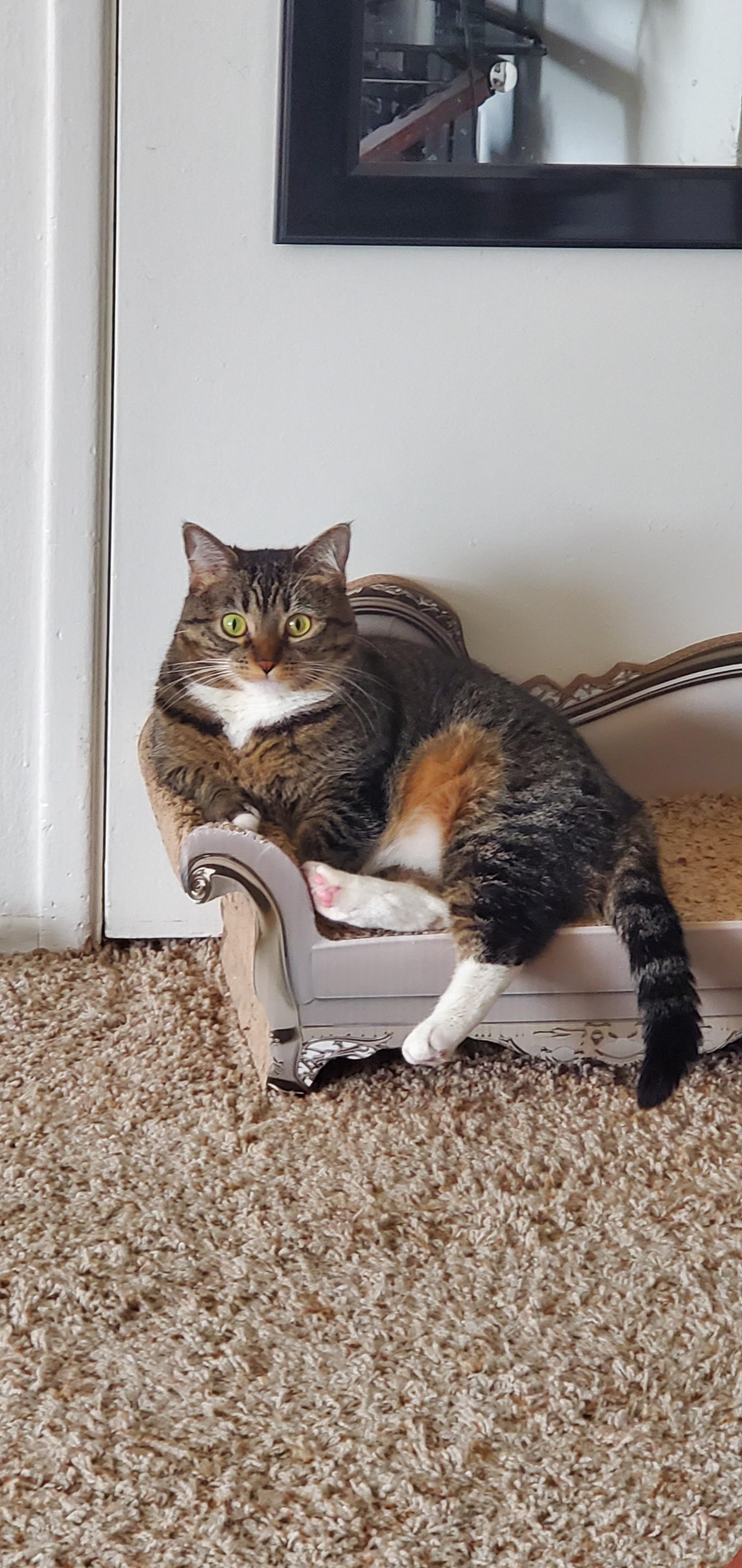 Her favorite place | Scrolller