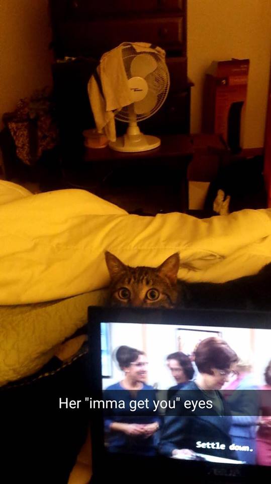 Her "Imma Get You" Eyes | Scrolller