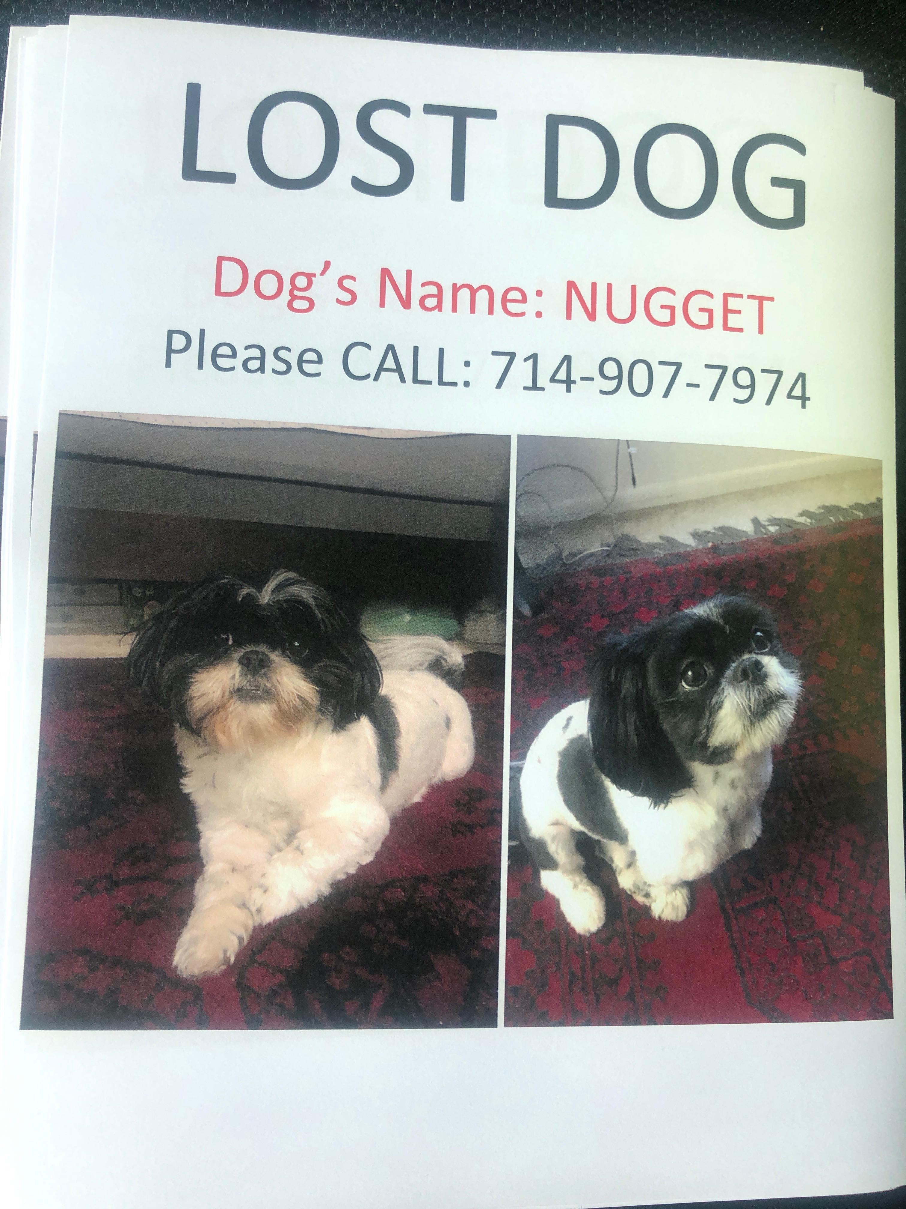 Here are some clearer pictures. Last seen in Garden Grove | Scrolller