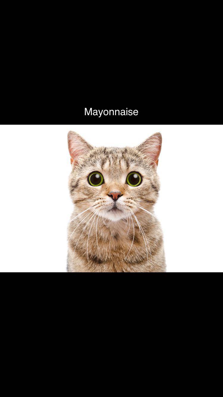 Here from r/memes? | Scrolller