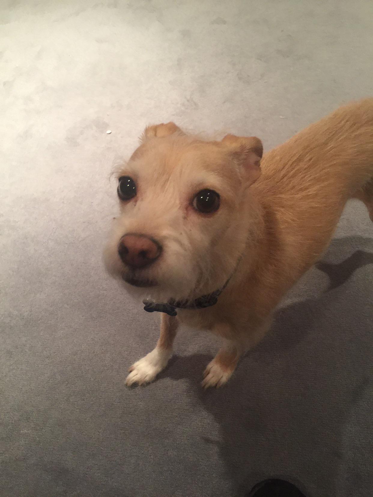 Here is Ernie! | Scrolller