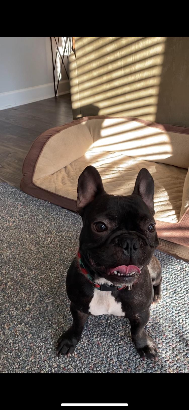 Here's a happy boy, Prince. | Scrolller