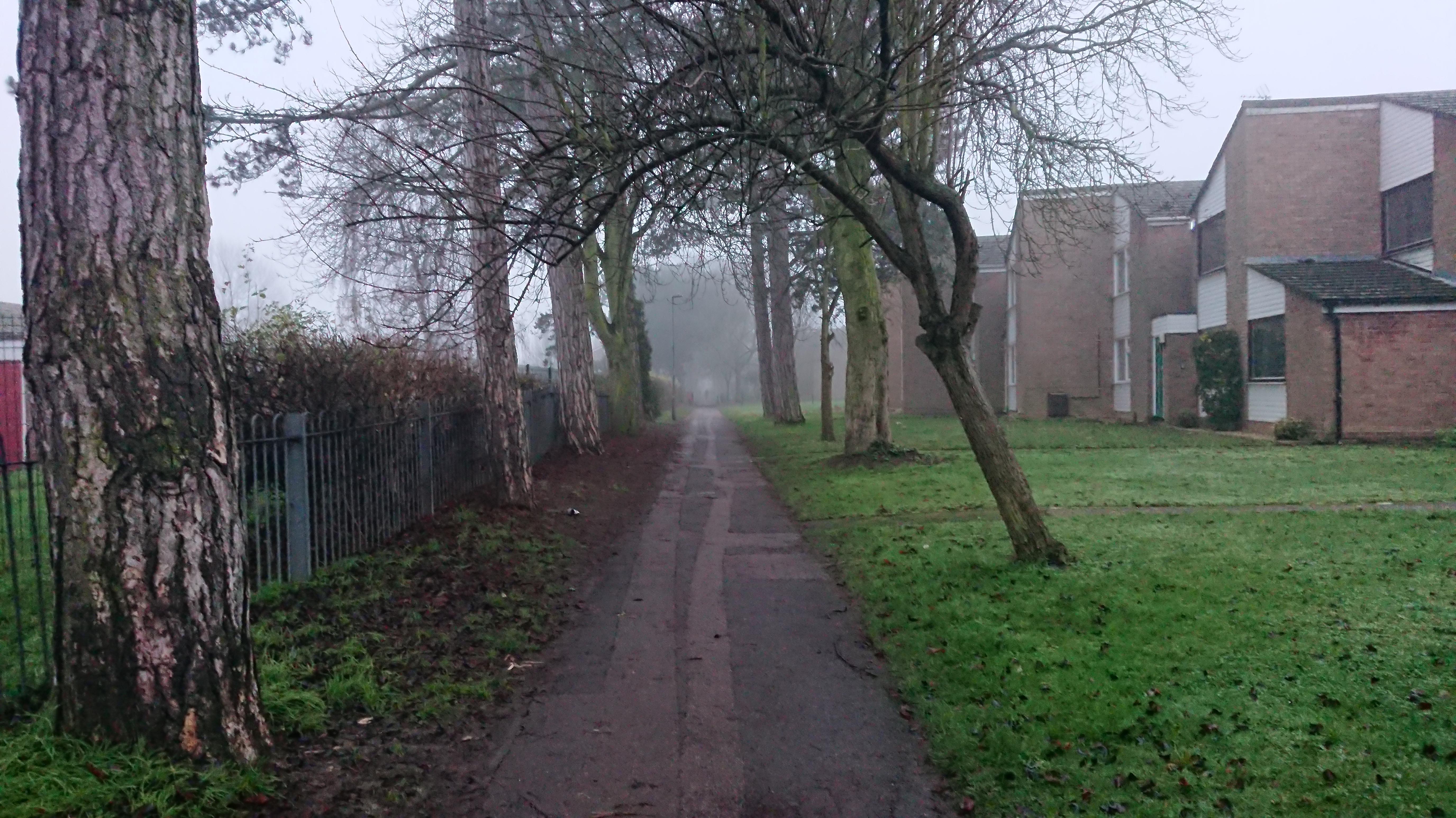 Here's a spooky path | Scrolller