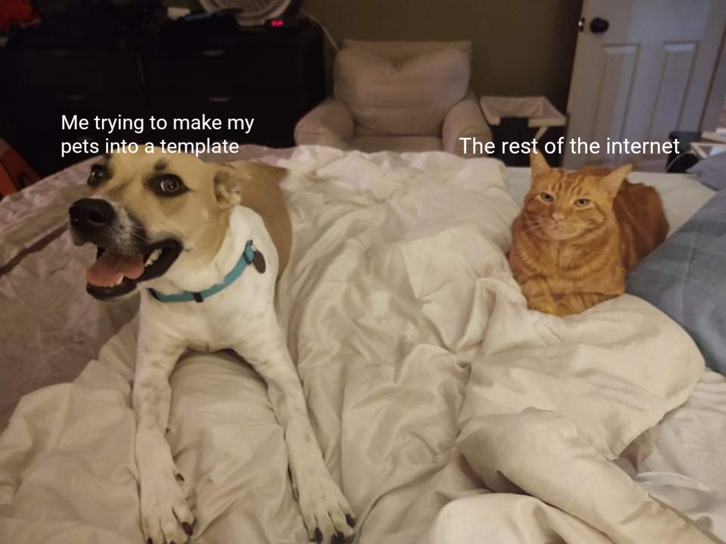 He's a good boy | Scrolller