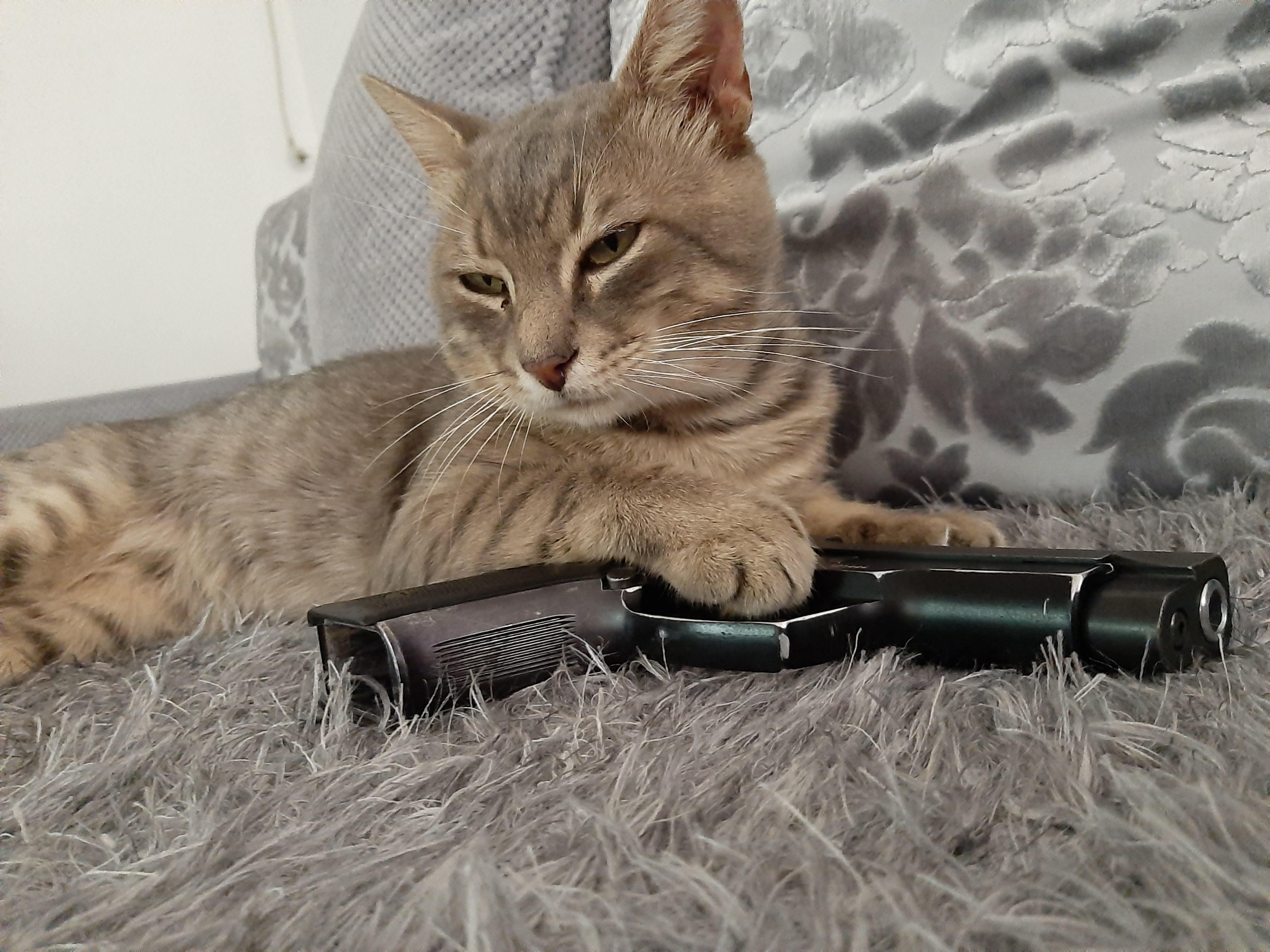 He's still getting the hang of trigger discipline. Will have to get ... He's still getting the hang of trigger discipline. Will have to get ...
