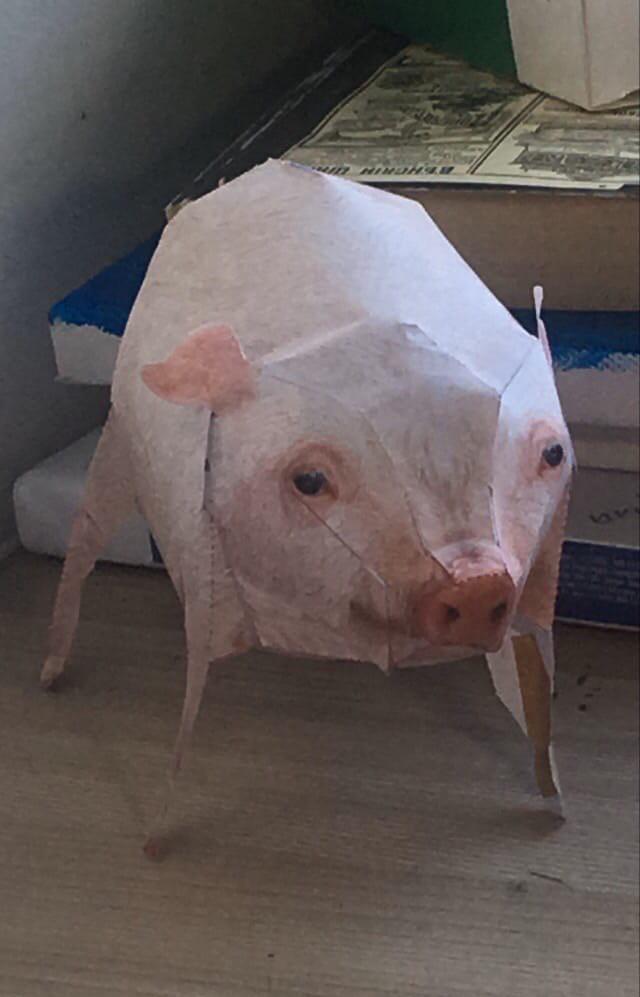 Hexagon pig | Scrolller