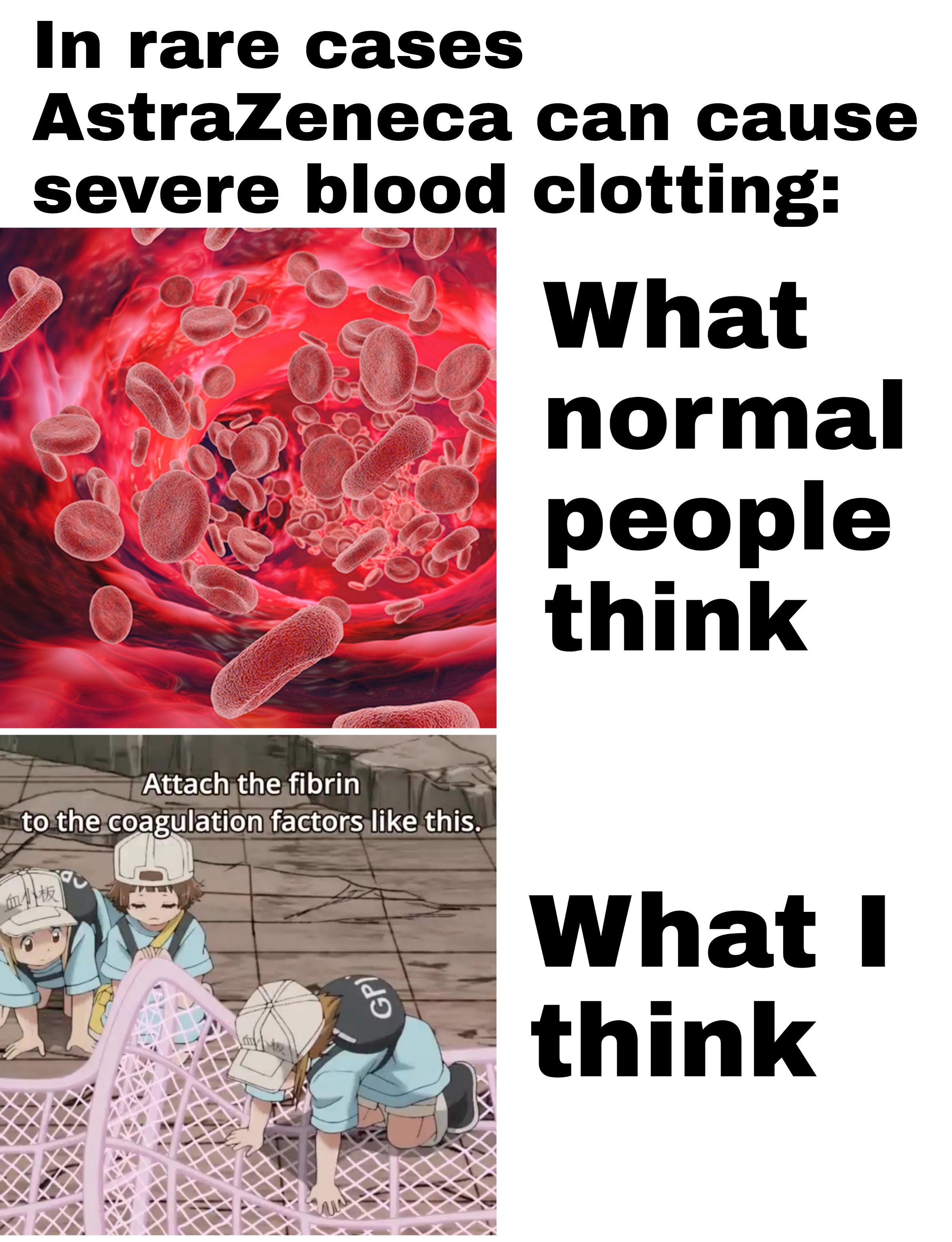 Hey, it's the platelets! | Scrolller