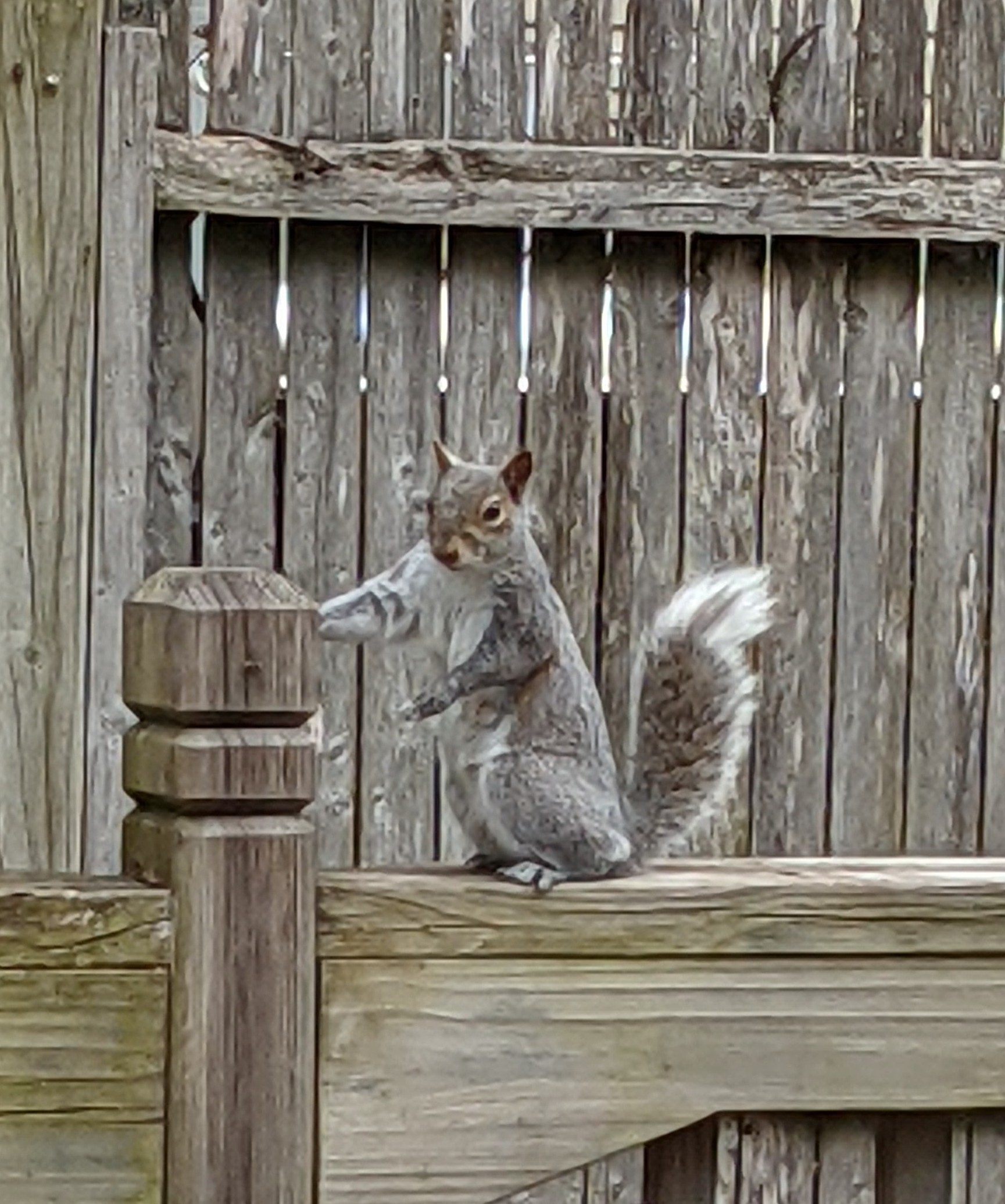 Hey ladies. How you doin'? | Scrolller