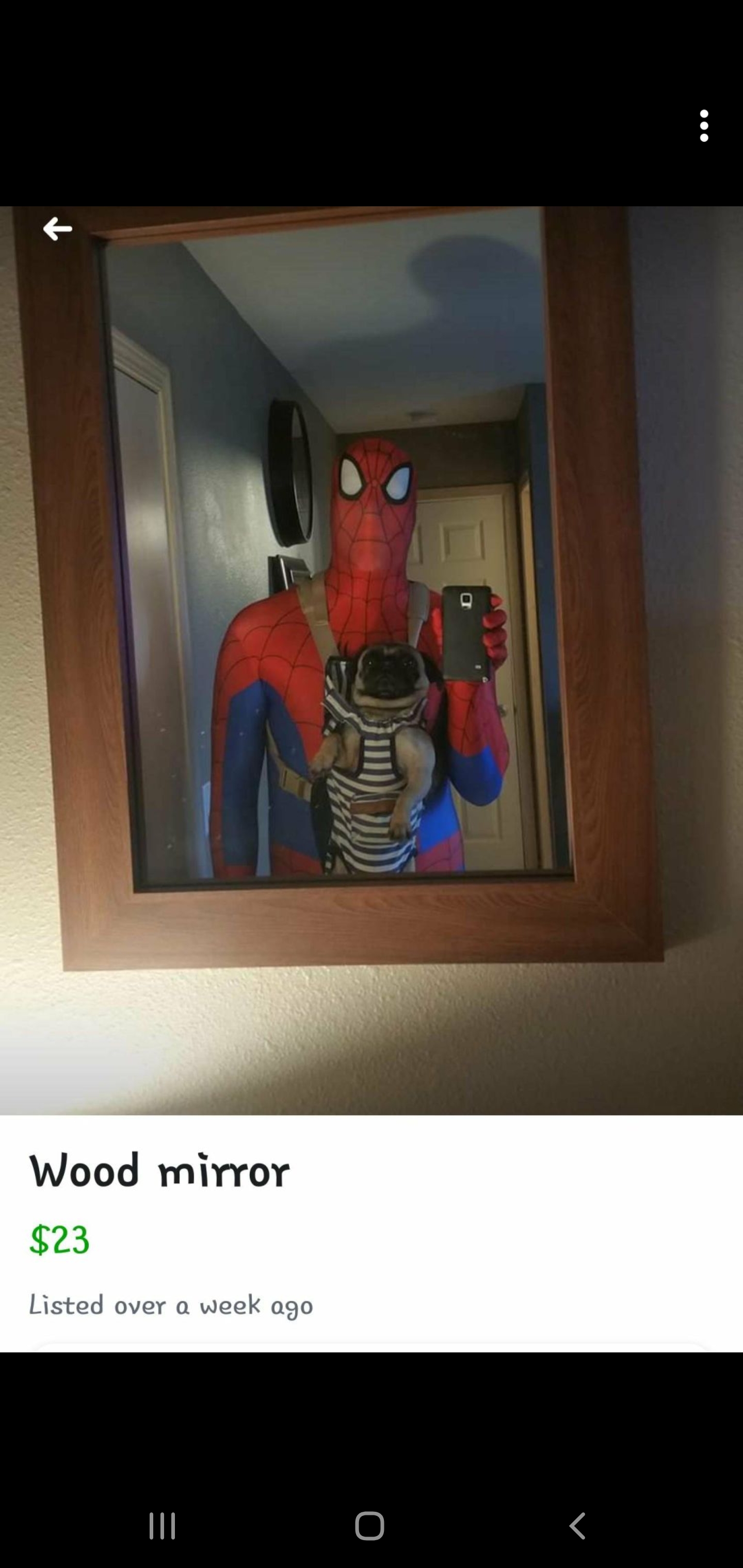 Hey Spider Scrolller