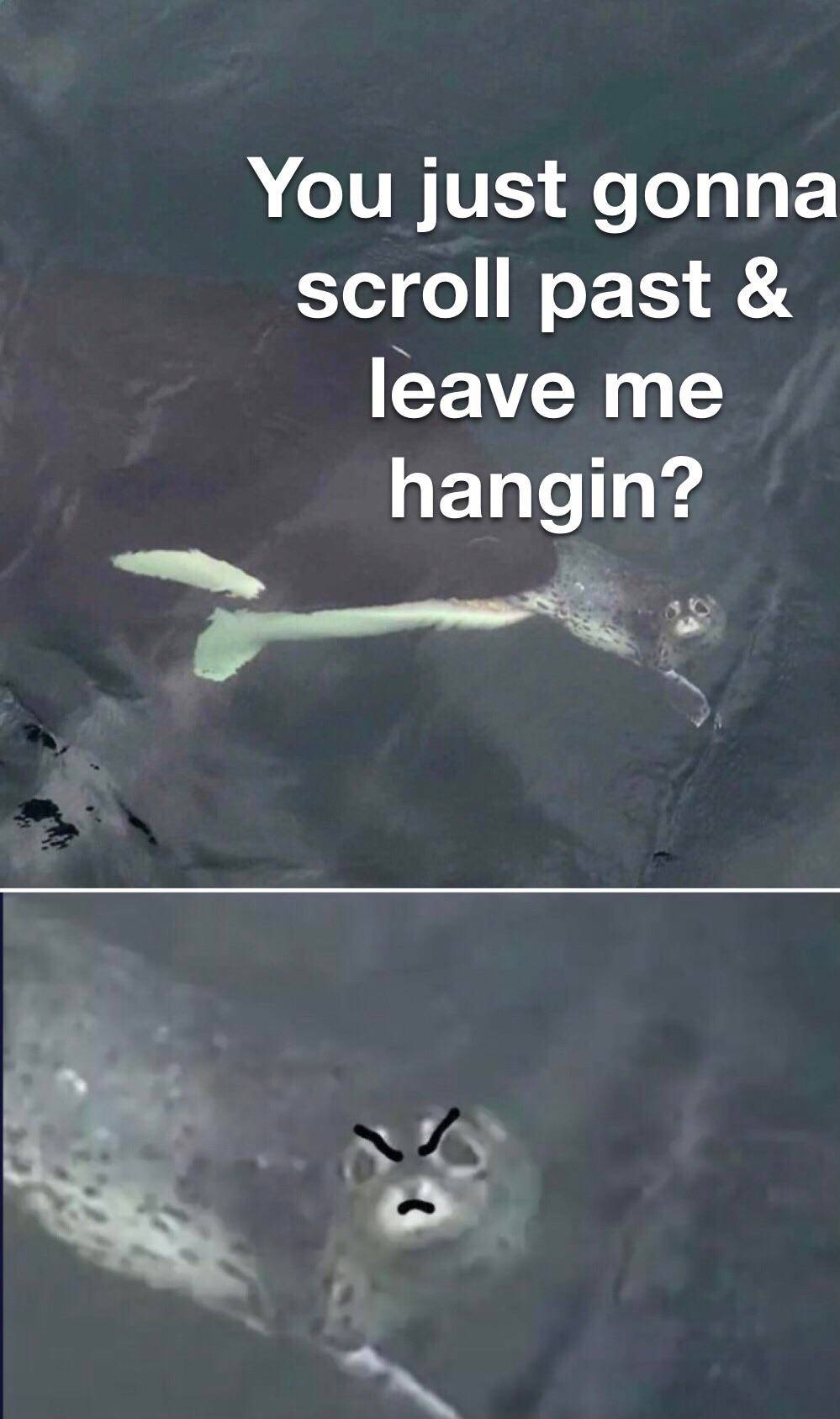 Hey, where ya goin?? | Scrolller