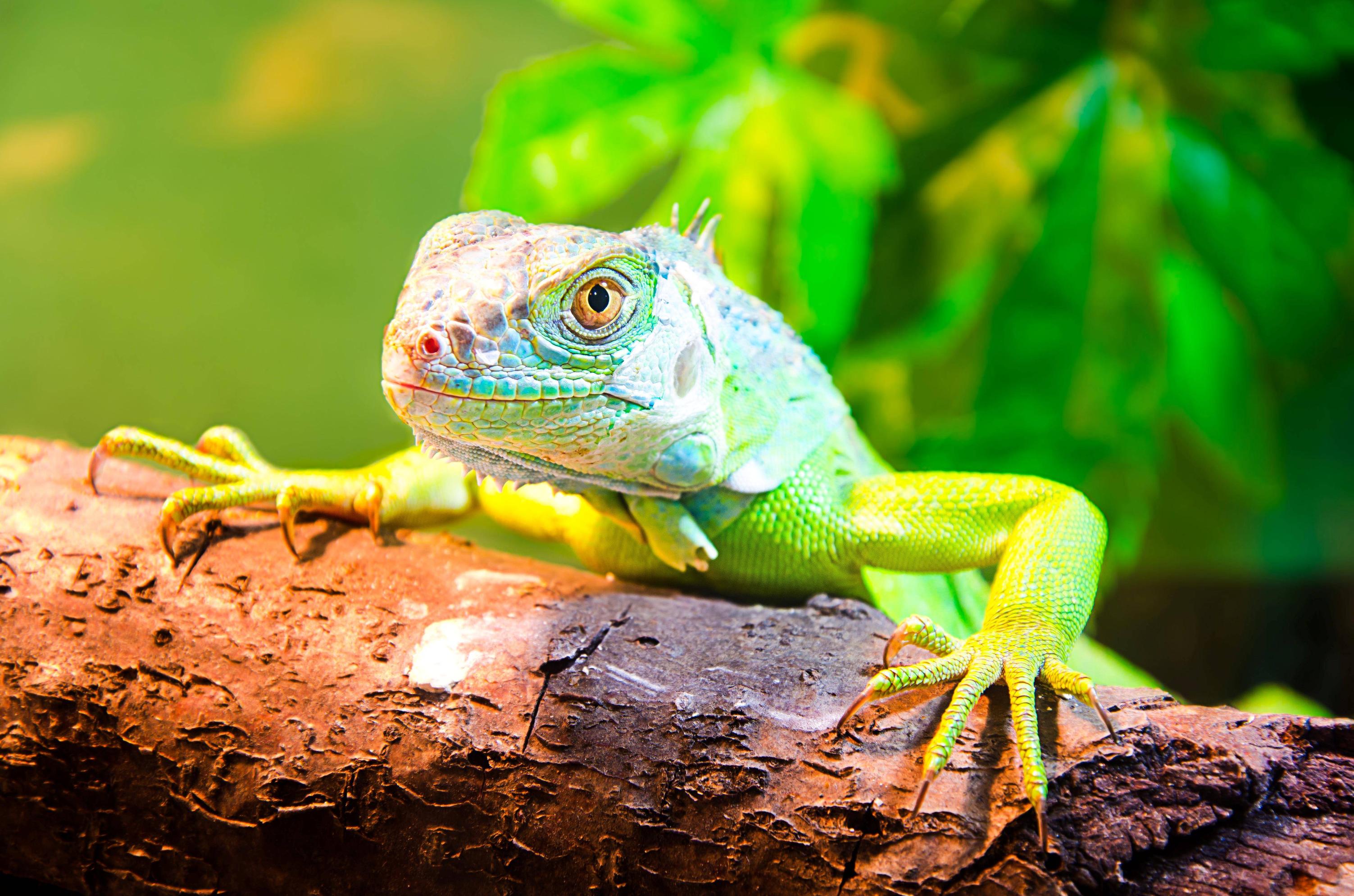 Hi everyone! This is Sofia :) | Scrolller