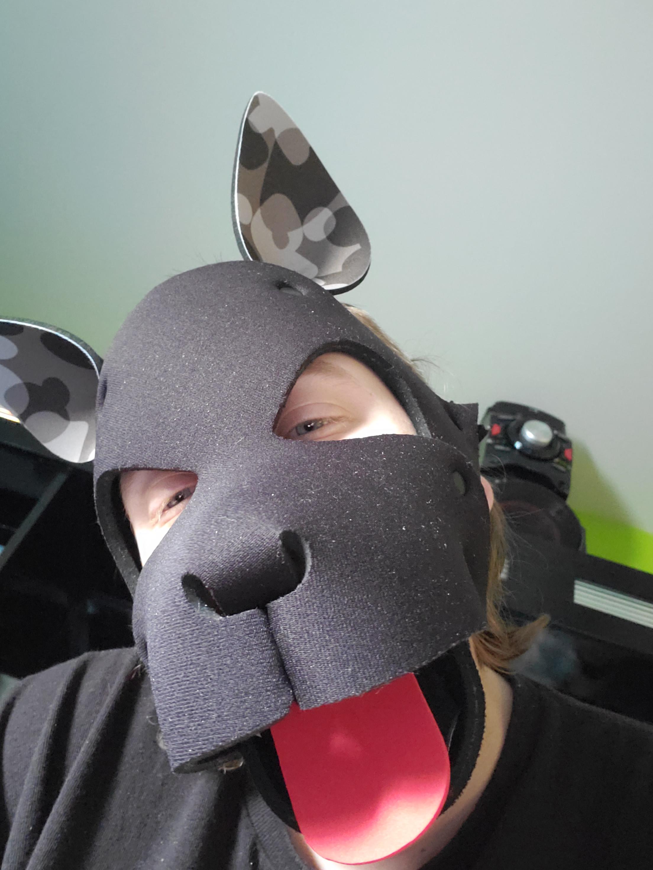 Hi there! 👋 I'm Bolt and my pronouns are he/him | Scrolller