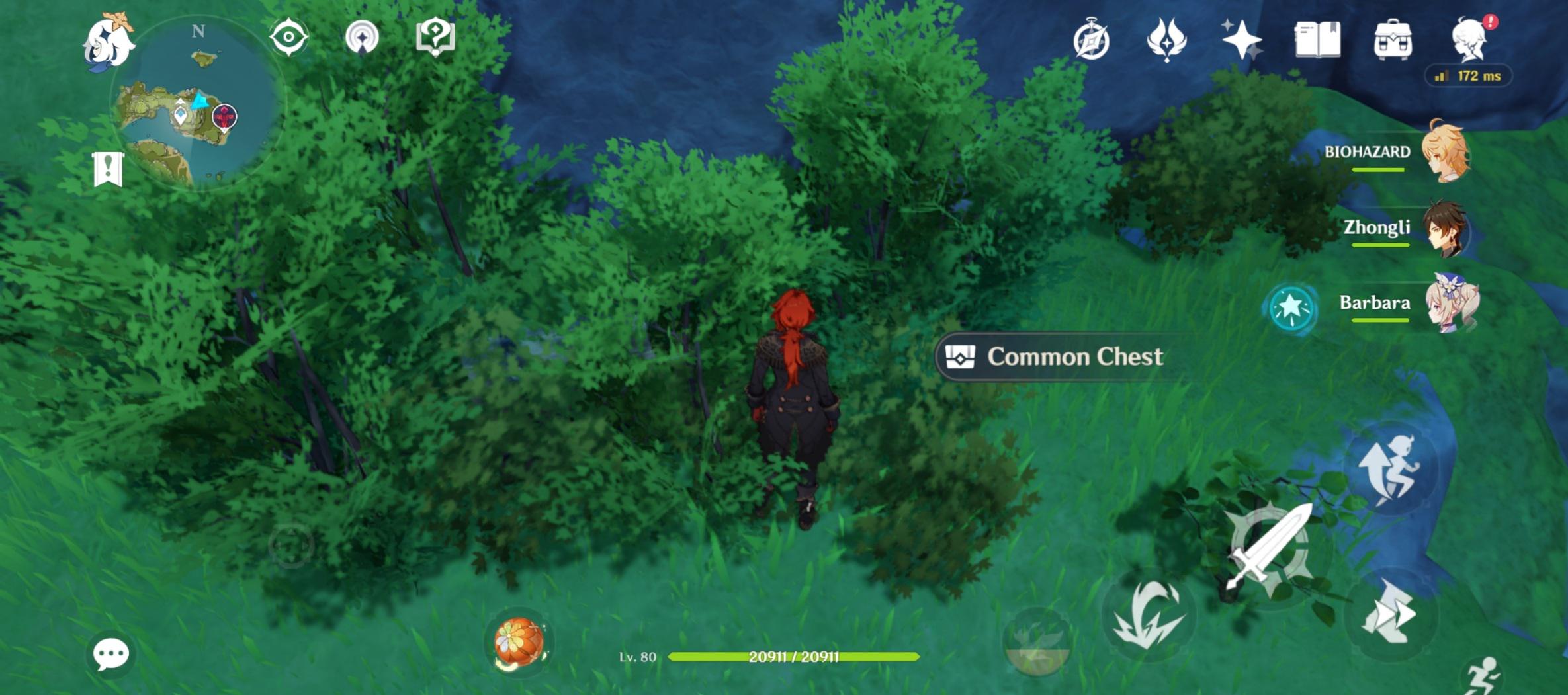 Hidden chest | Scrolller