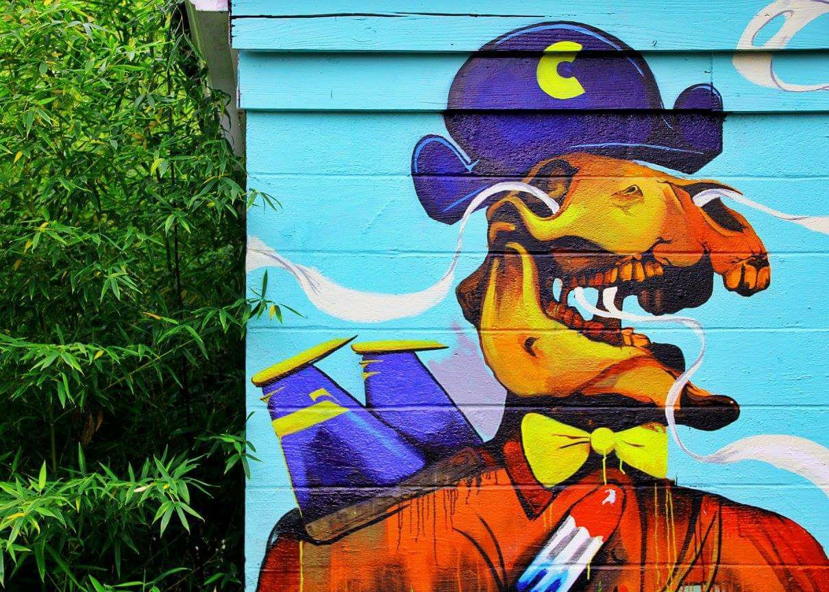 Hidden gem behind the local head shop in Denton, Tx | Scrolller