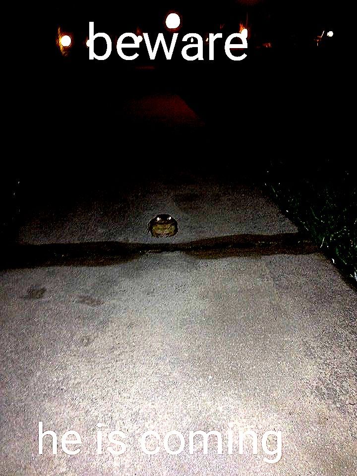 His arrival in imminent | Scrolller