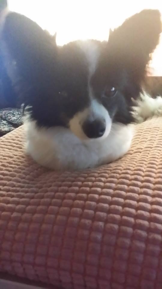 his first loaf | Scrolller