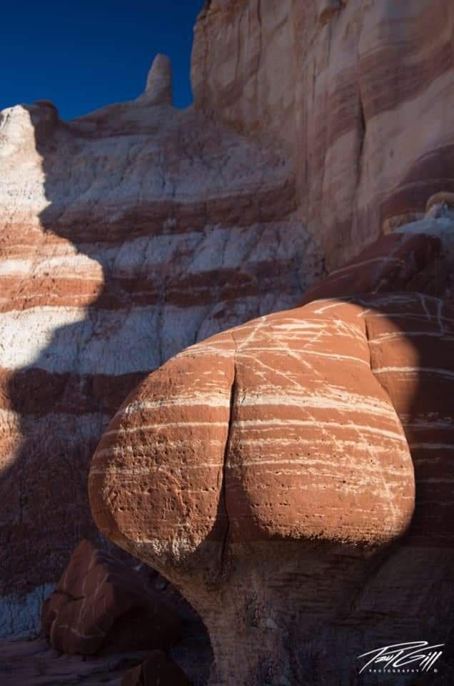 Hitting rock bottom | Scrolller