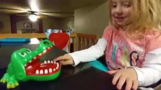 HMJB while I provoke this croc | Scrolller