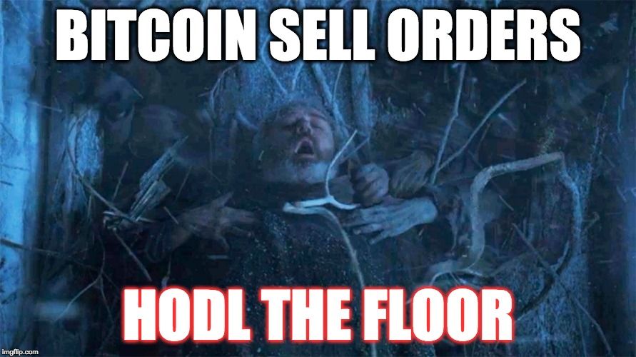 HODL THE FLOOR!!! | Scrolller