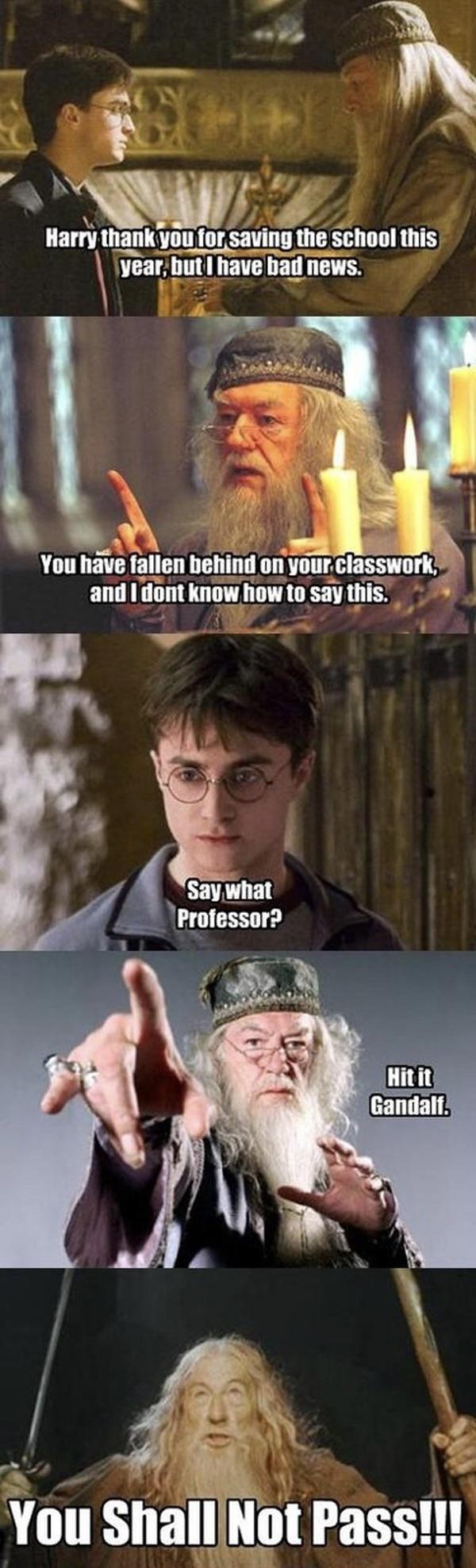 Hogwarts Rule | Scrolller