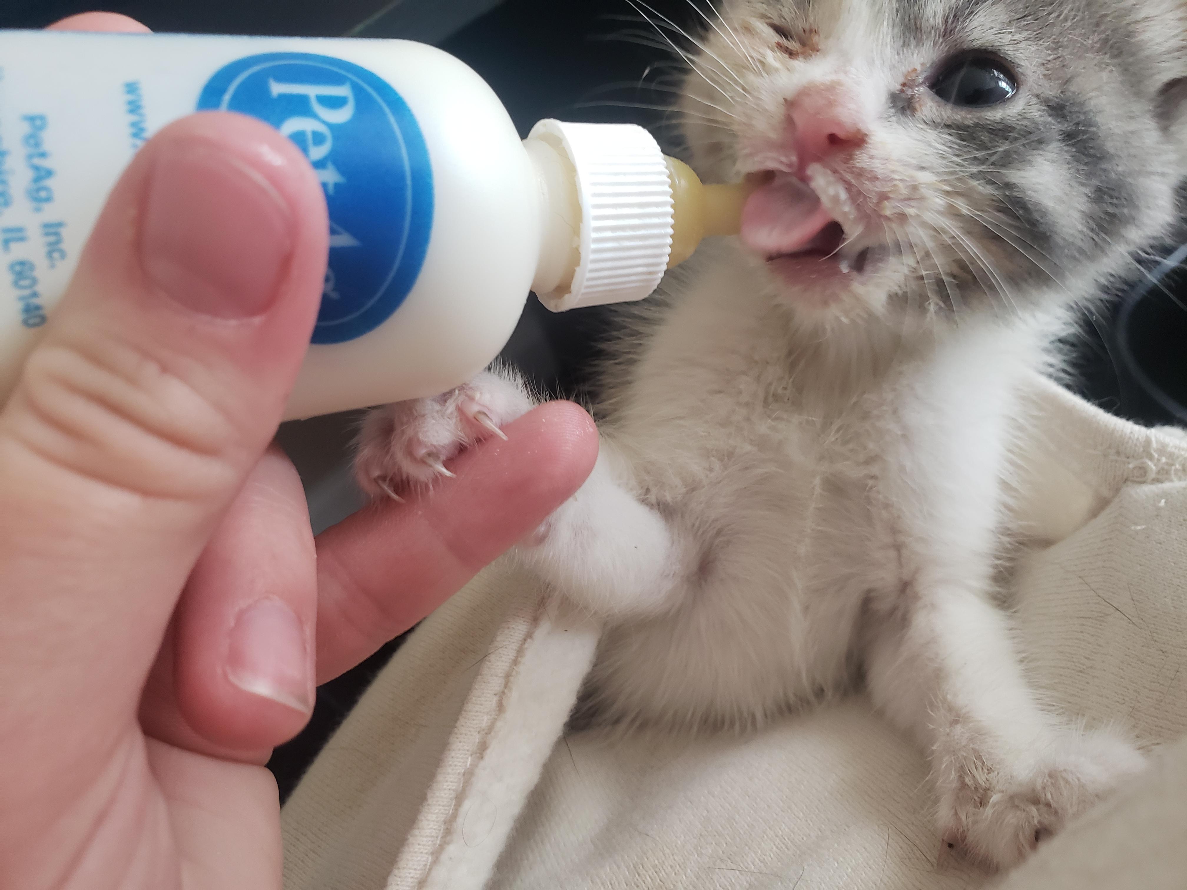 Holding my pinky with that tiny murder mitten. | Scrolller