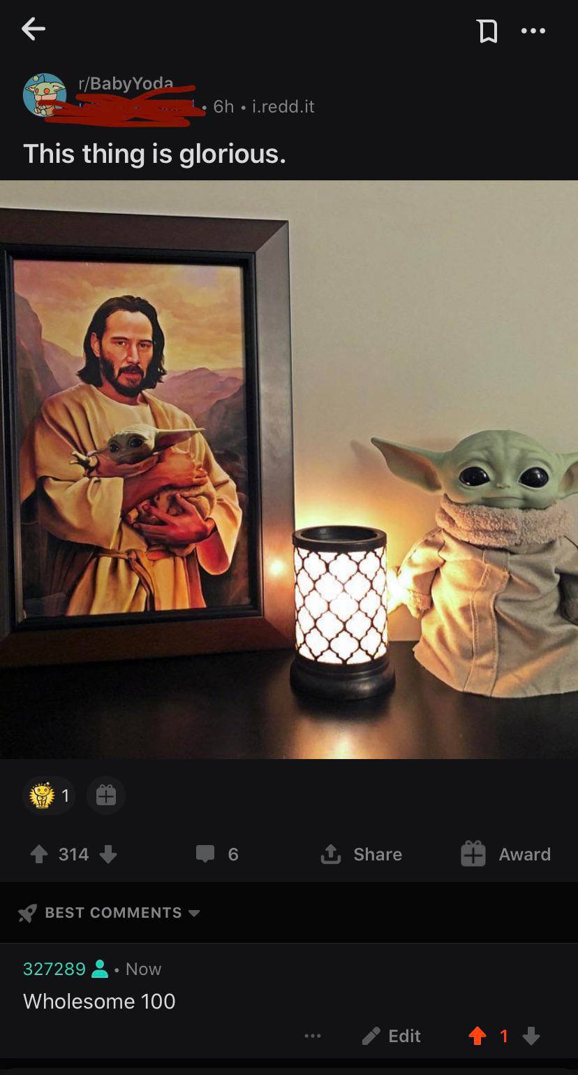 Holesome 100 ☺️ | Scrolller