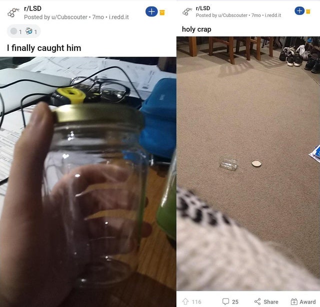 holy crap | Scrolller