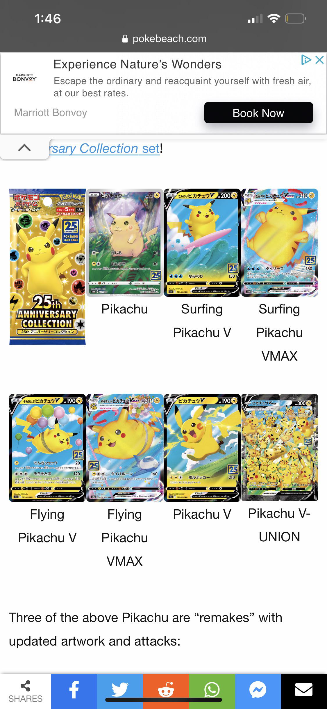 Holy pika | Scrolller