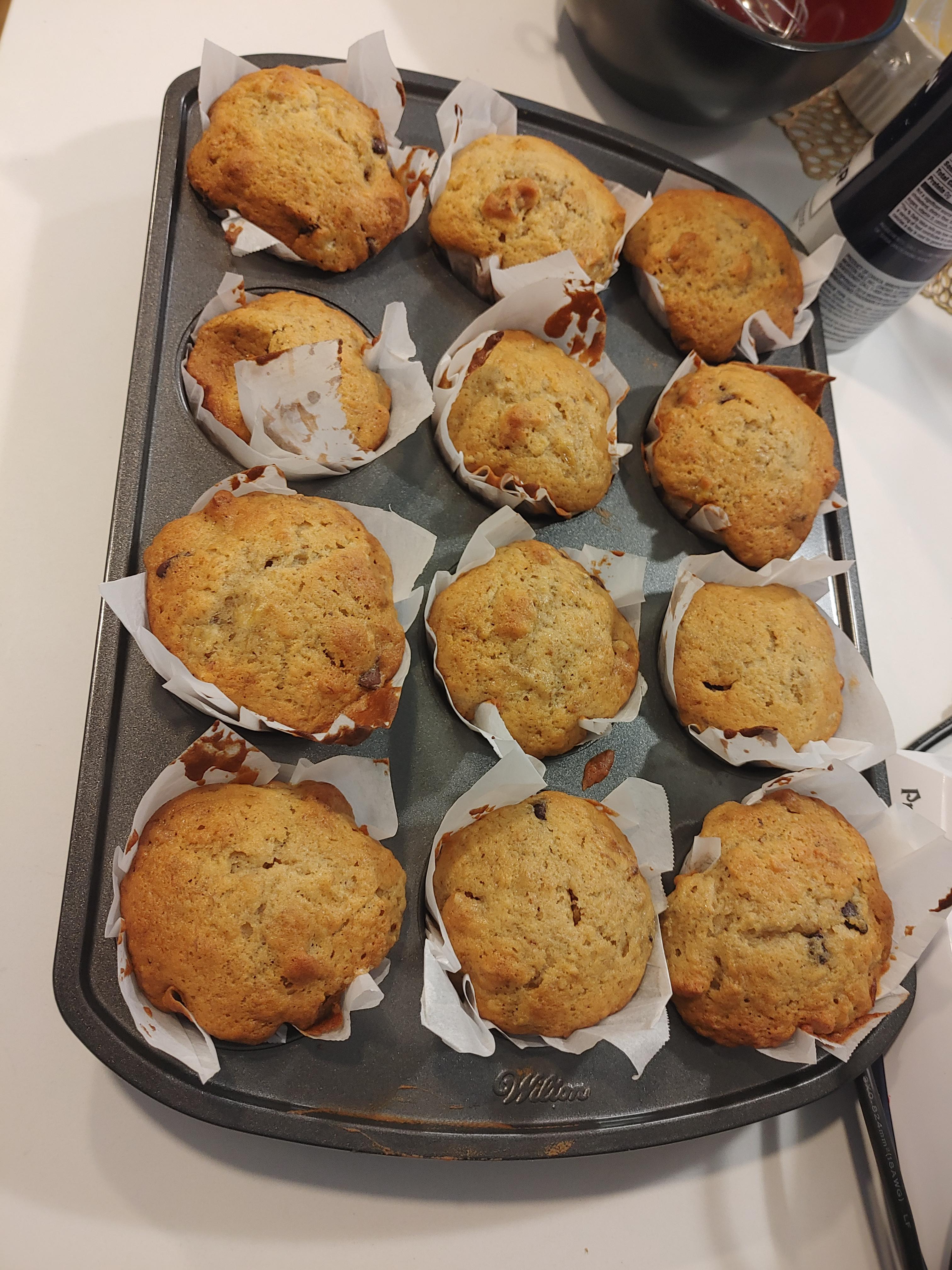 Homemade chocolate walnut muffins | Scrolller