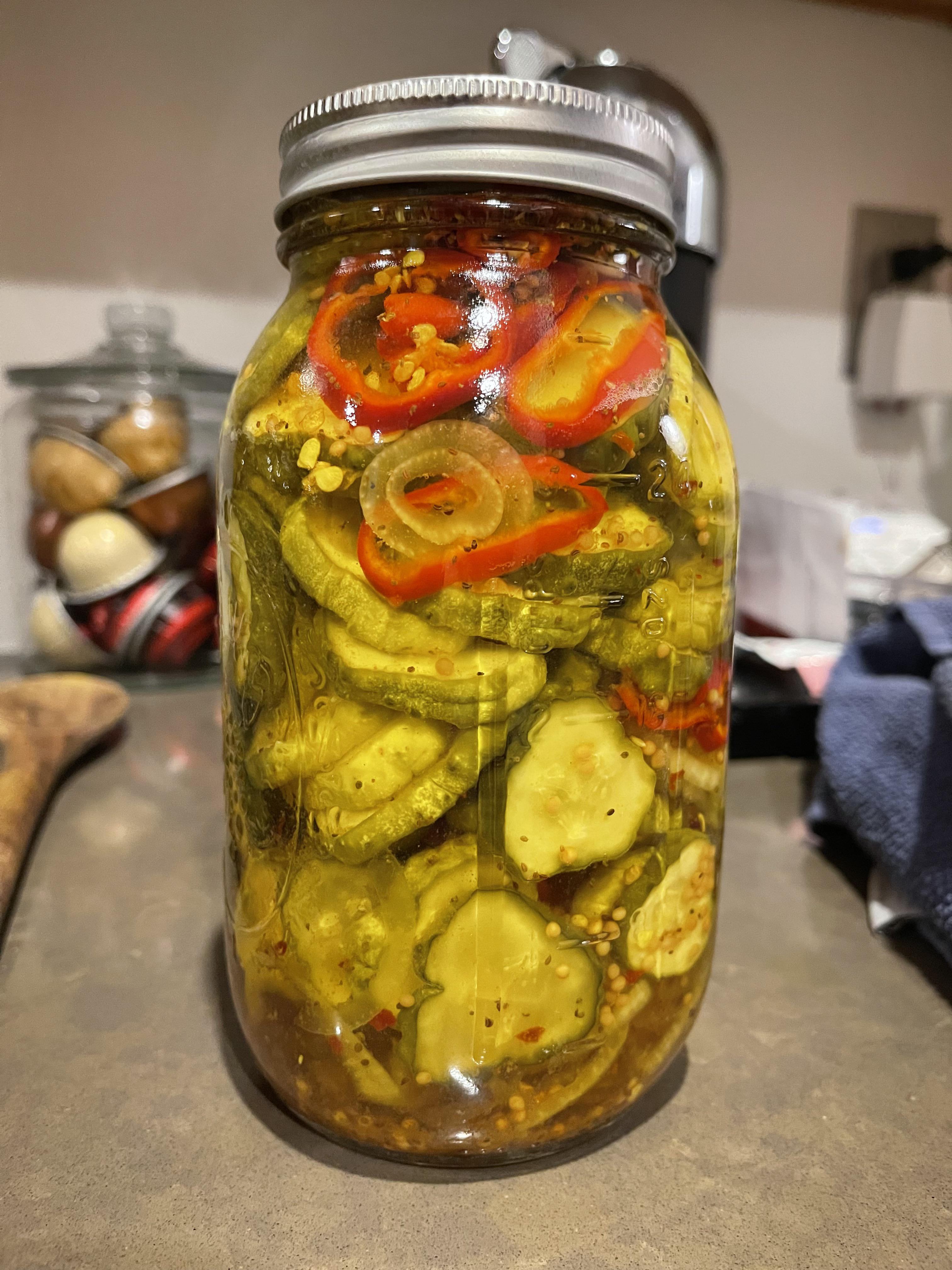 [homemade] Homegrown Super Crunchy Spicy Bread and Butter Pickles | Scrolller