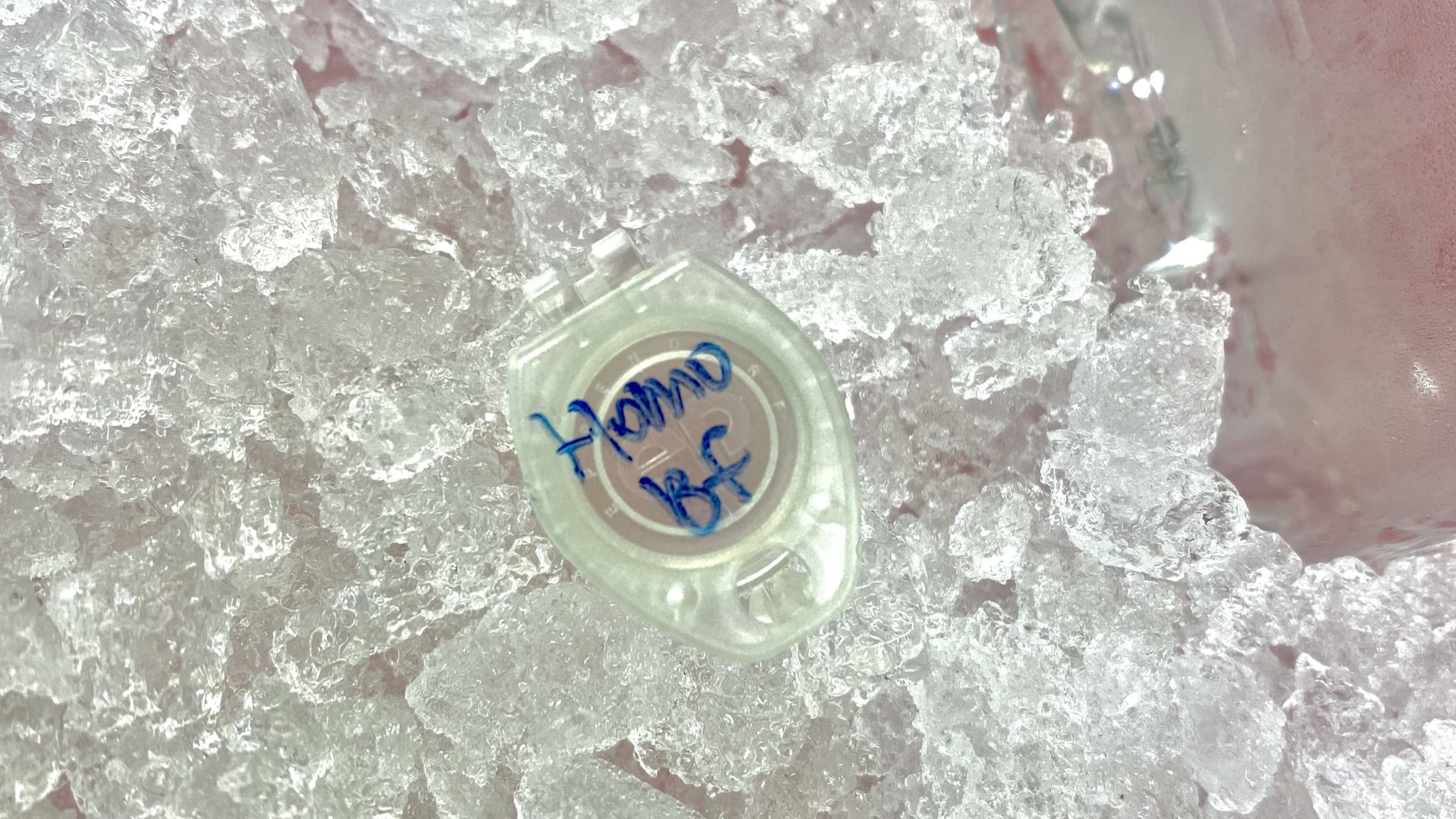 Homogenization Buffer | Scrolller