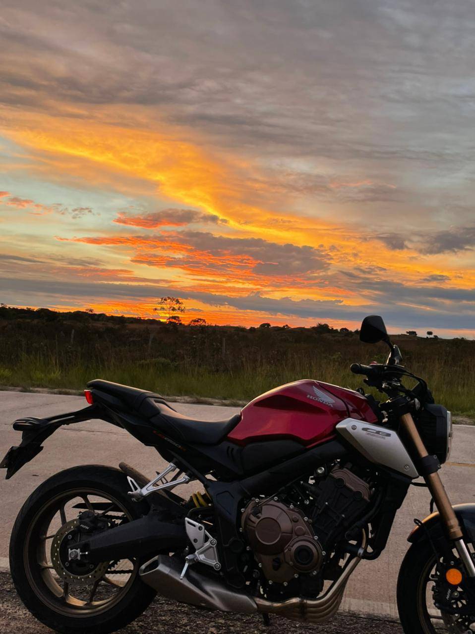 HONDA CB650R | Scrolller