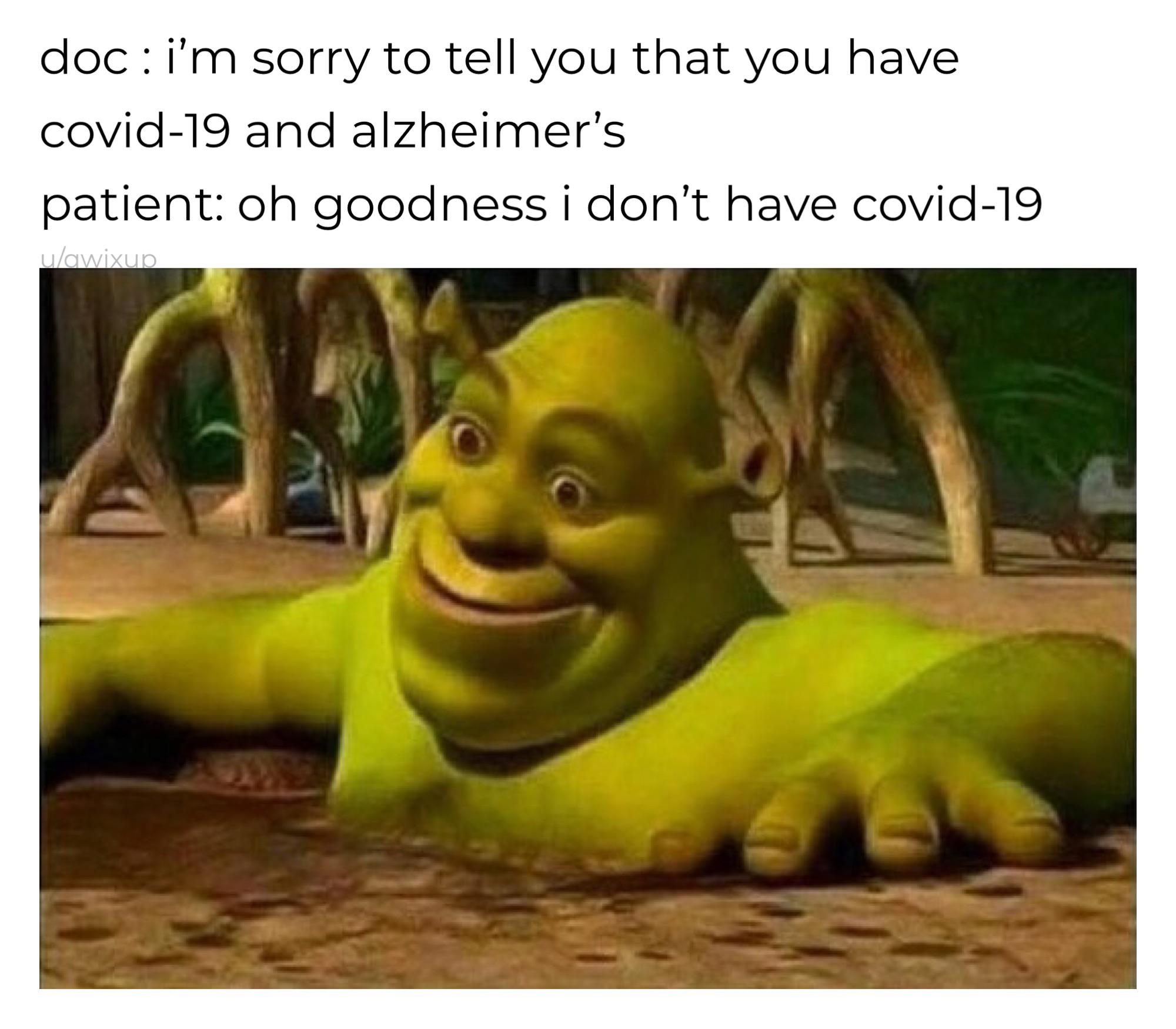 honest doc | Scrolller