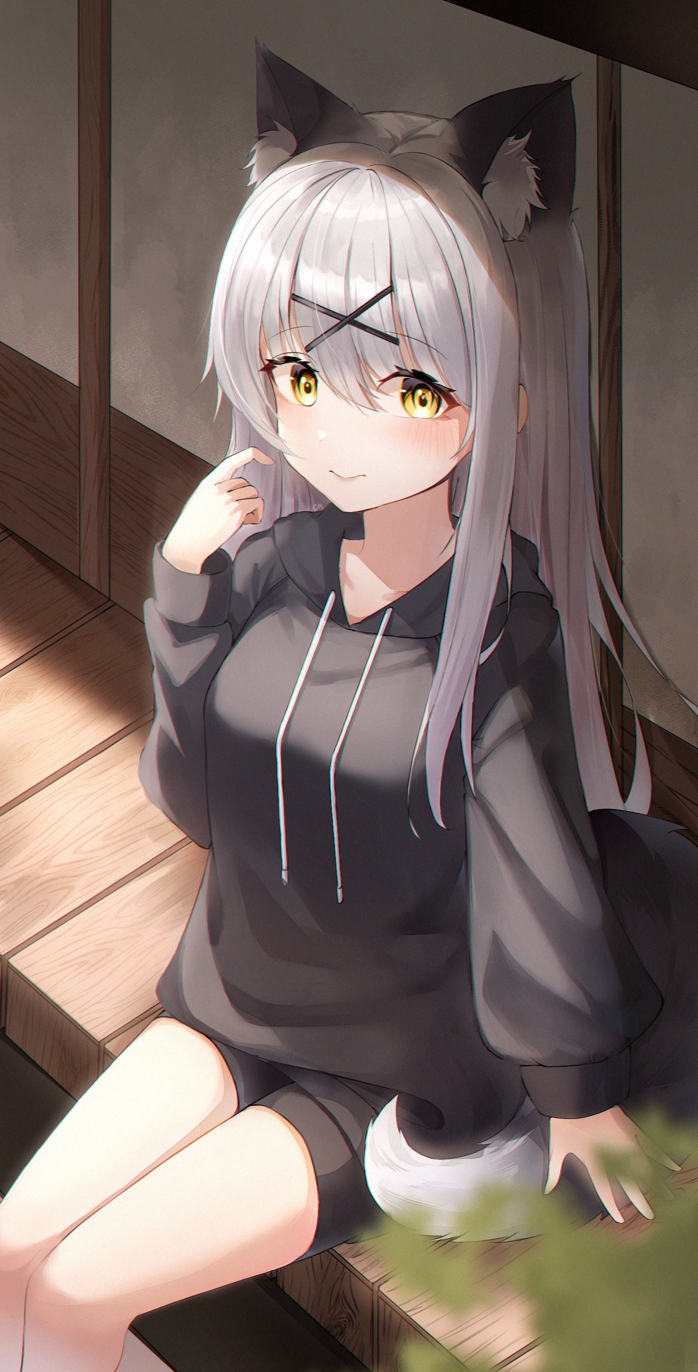 Hoodie Fox [Original] | Scrolller