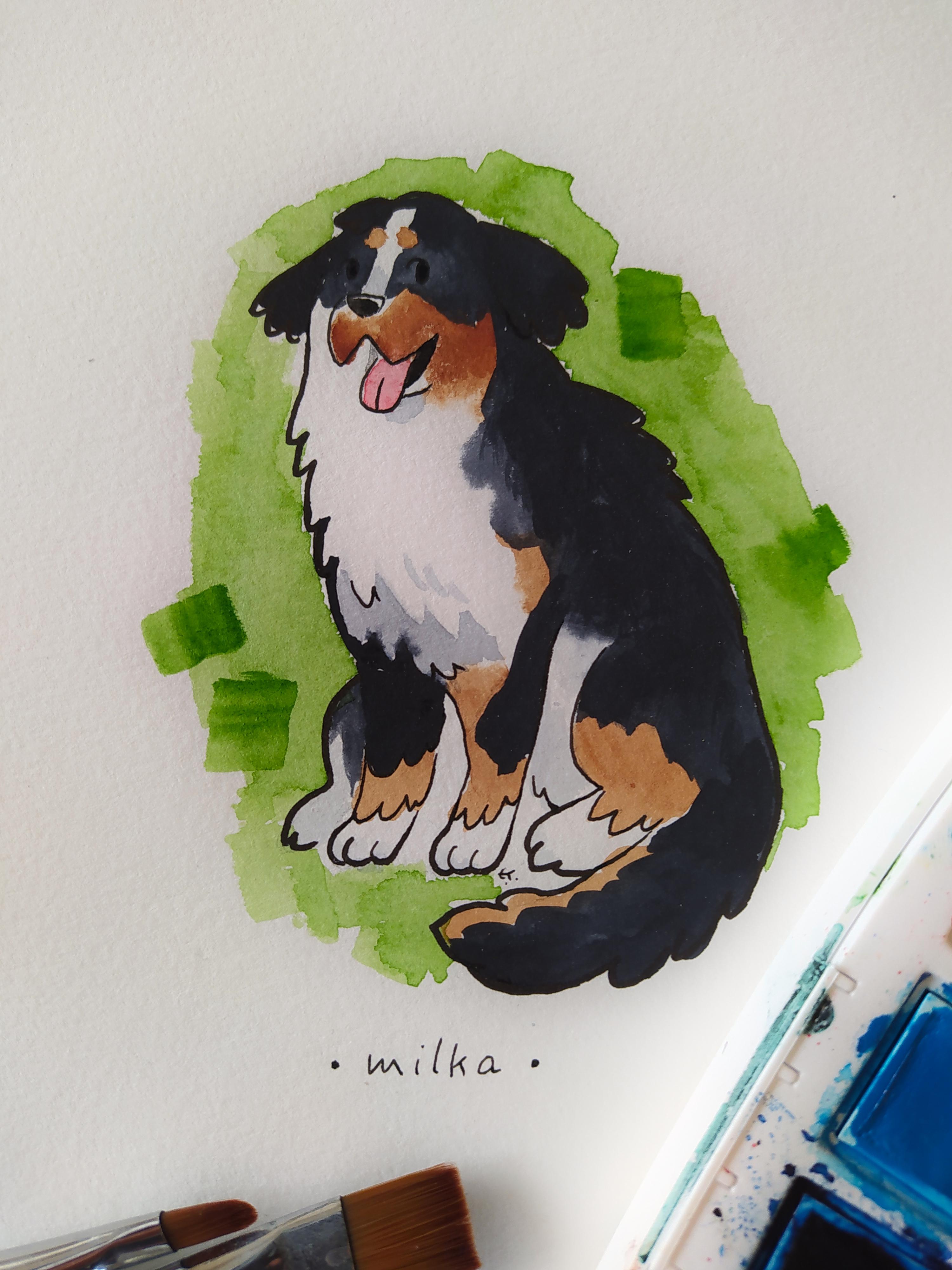 Hope this fits here! I drew this pup! | Scrolller