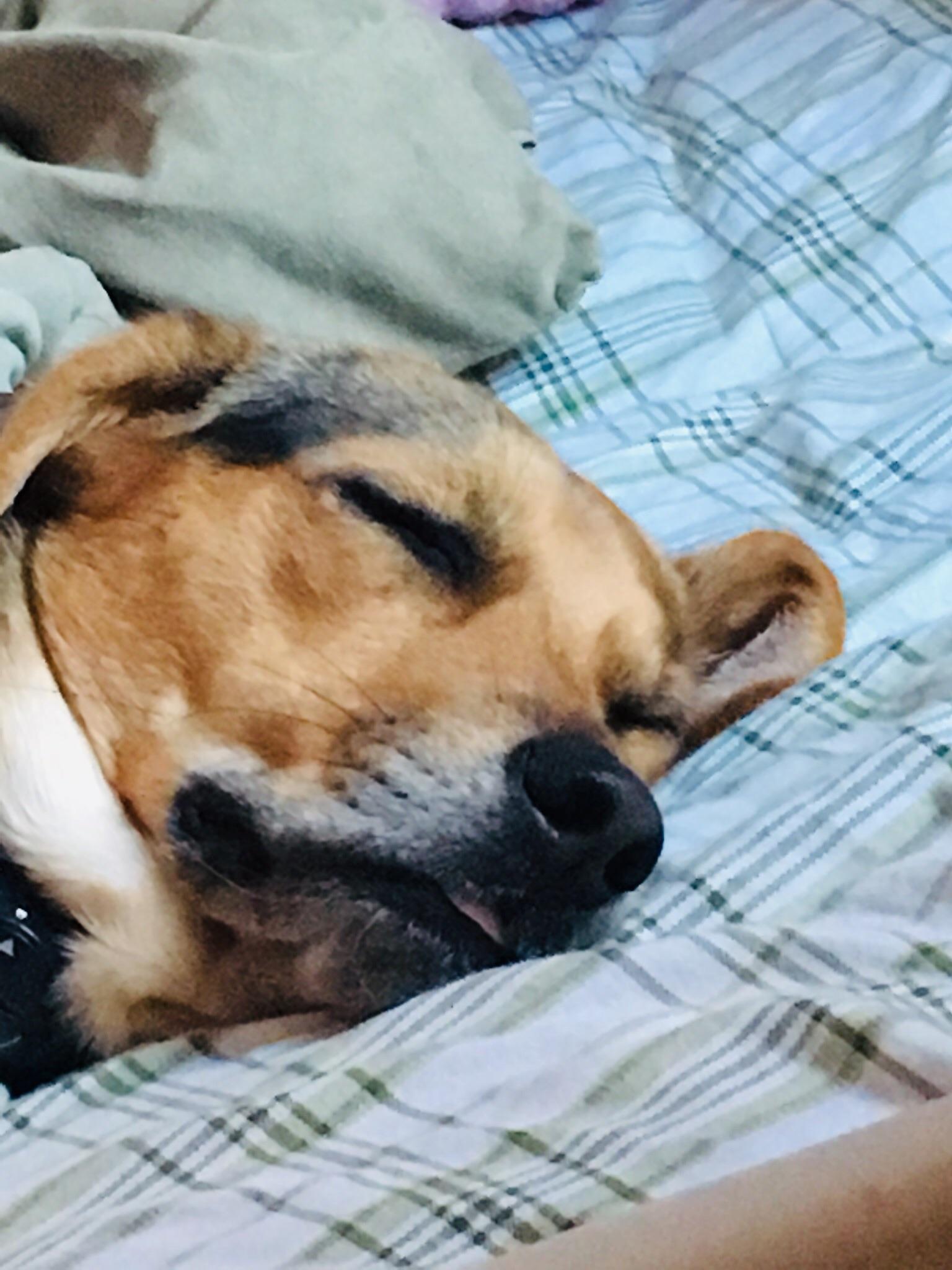 Hopefully this is squishy Enough | Scrolller